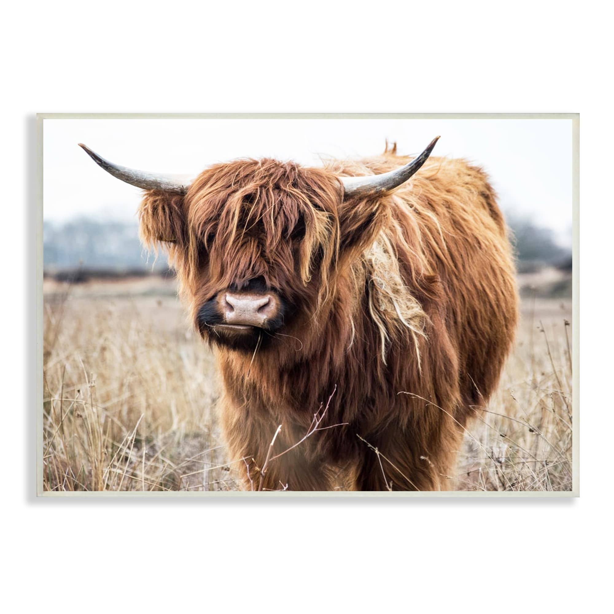 Stupell Industries Grazing Longhorn Cattle Farmland Animal Portrait ...