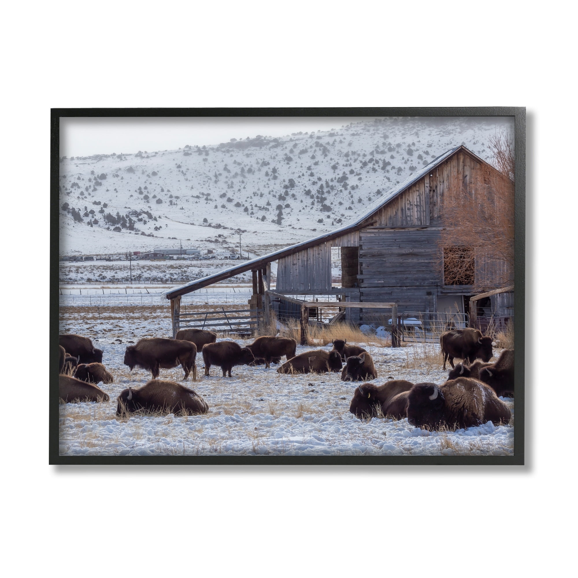 Stupell Industries Grazing Rural Bison Snowy Farmland Barn Scenery ...