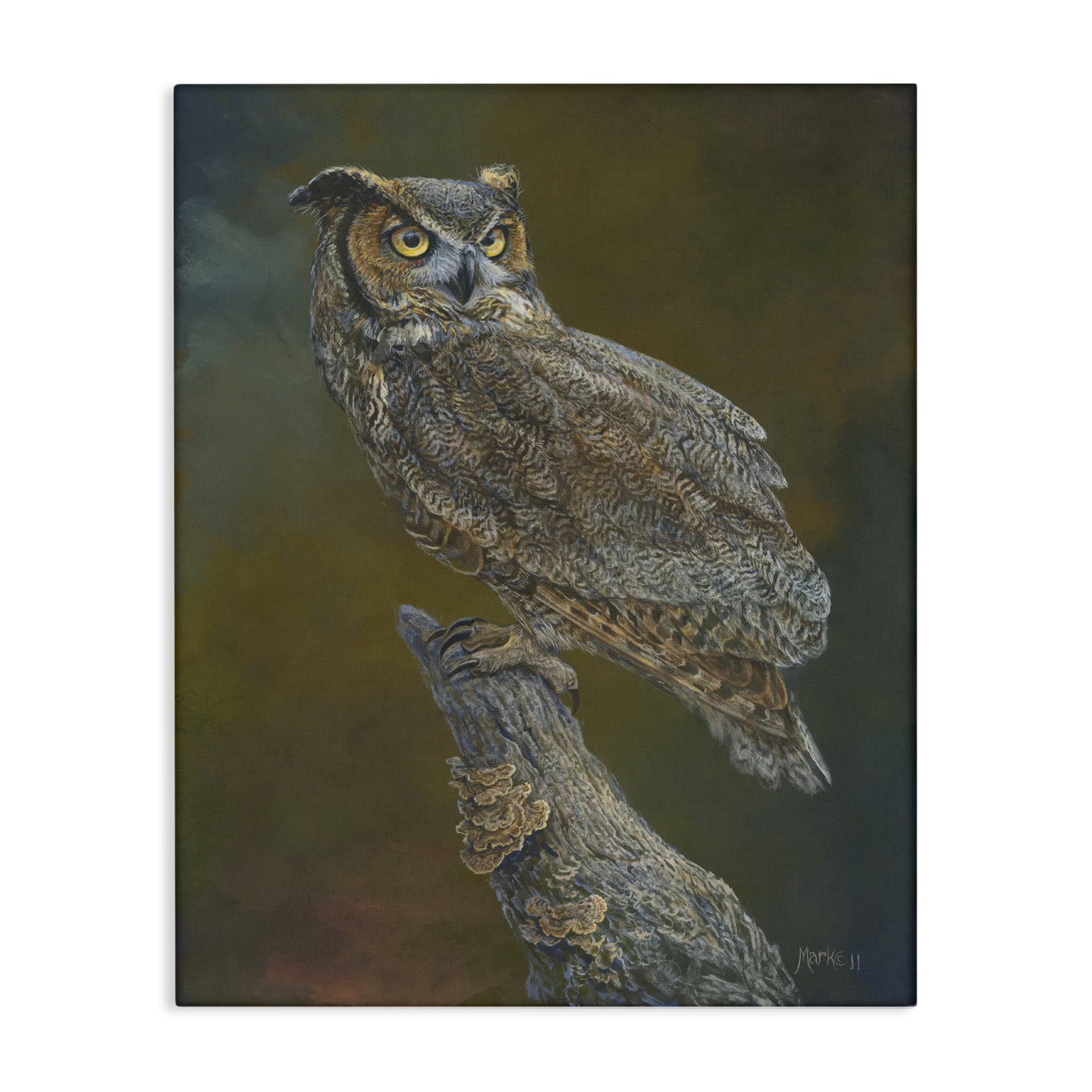 Stupell Industries Great Horned Owl on Branch Animals Painting Wrapped ...