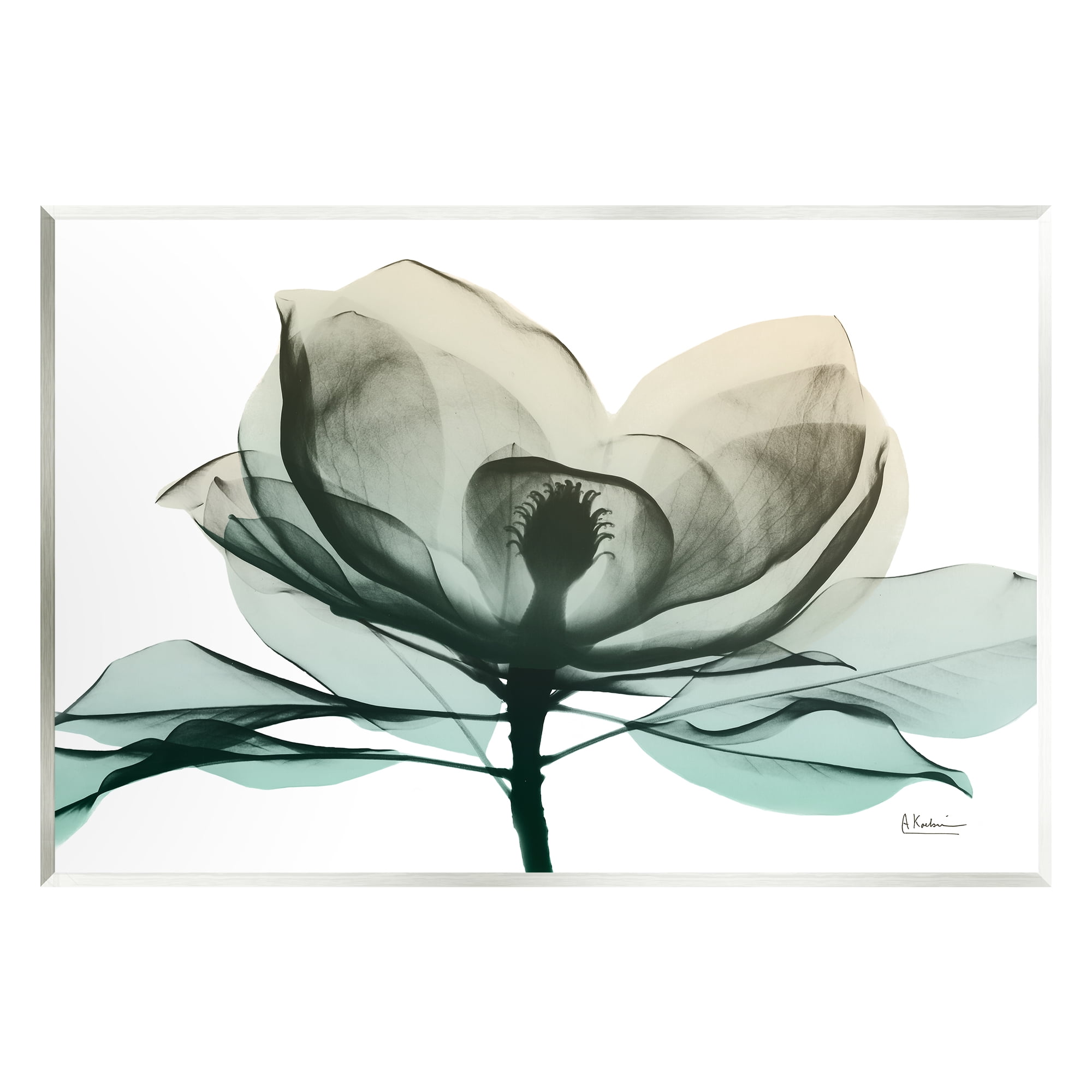 Stupell Industries Green X-Ray Flower Botanical & Floral Photography ...