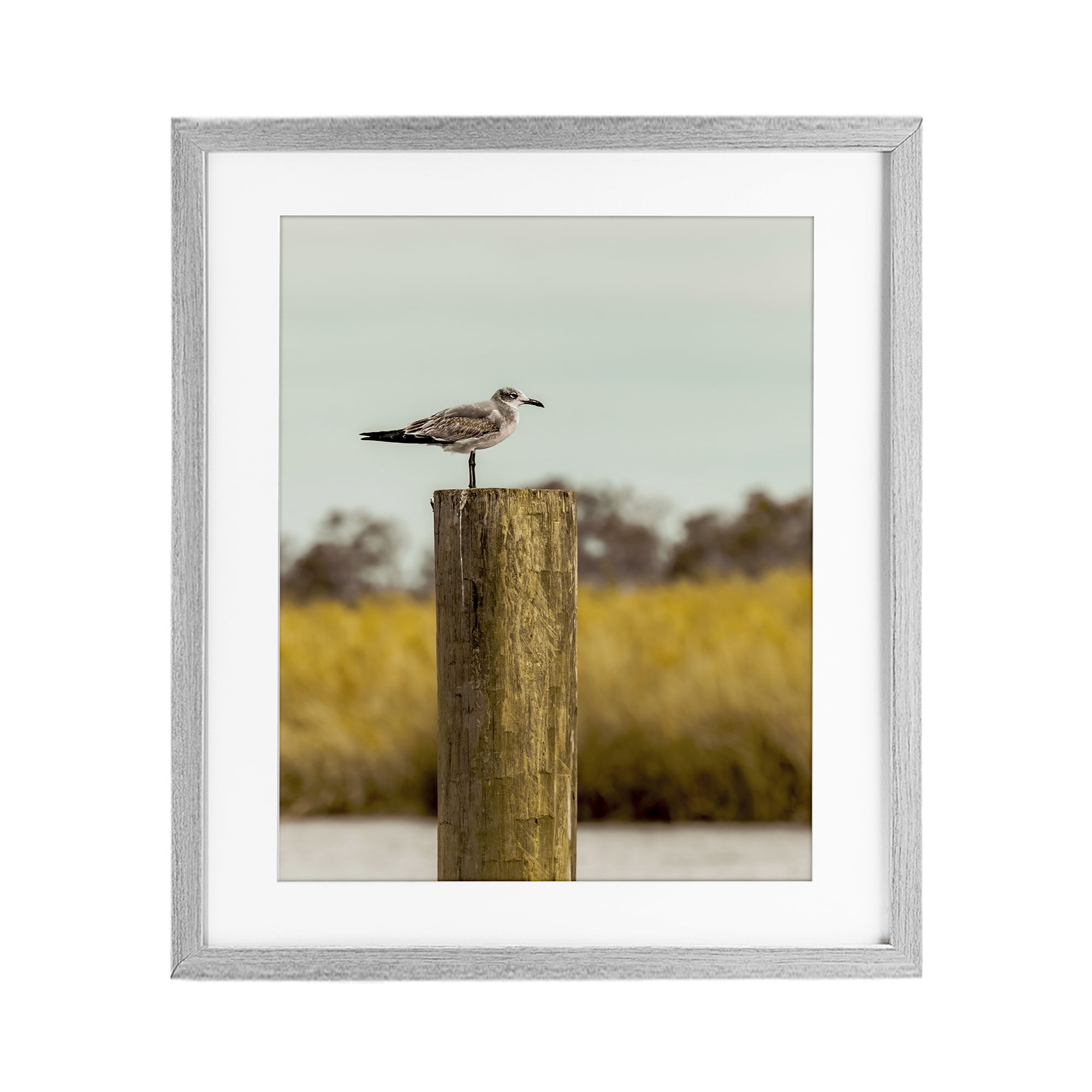 Stupell Industries Gull On Piling Gray Framed Print Under Glass, design ...