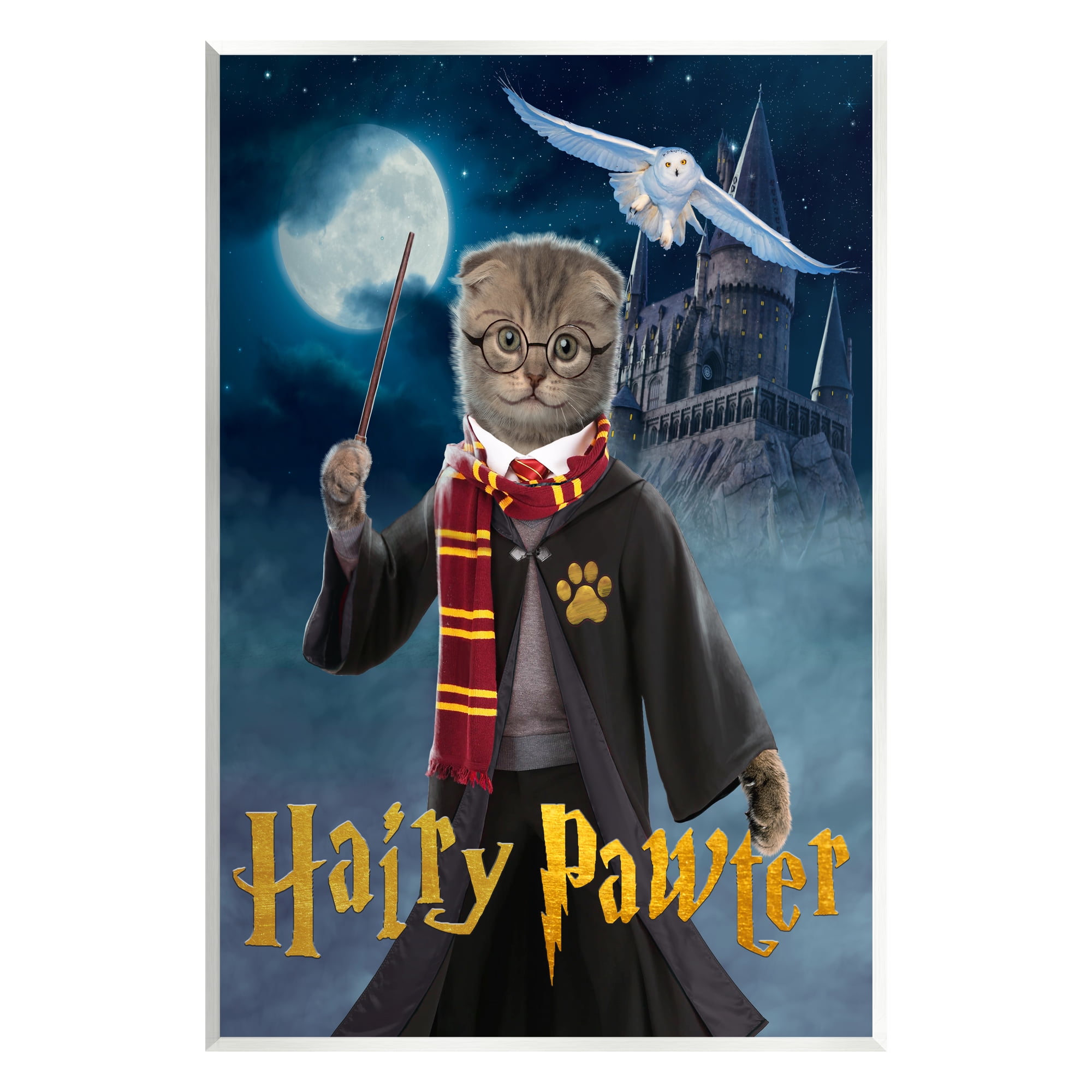 Stupell Industries Hairy Pawter Cat Wizard Animals & Insects Painting ...