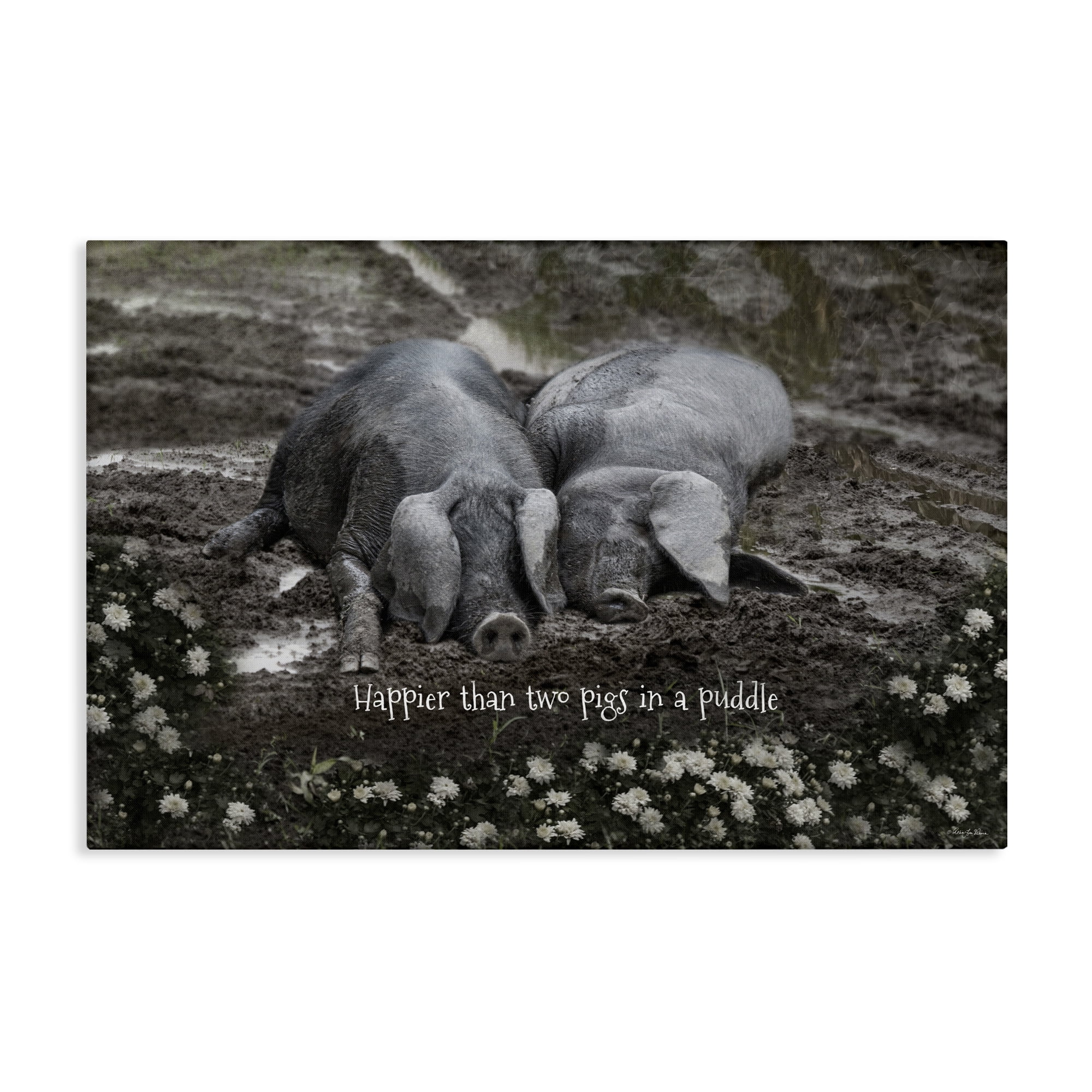 Stupell Industries Happier Than Two Pigs In Puddle Canvas Wall Art ...