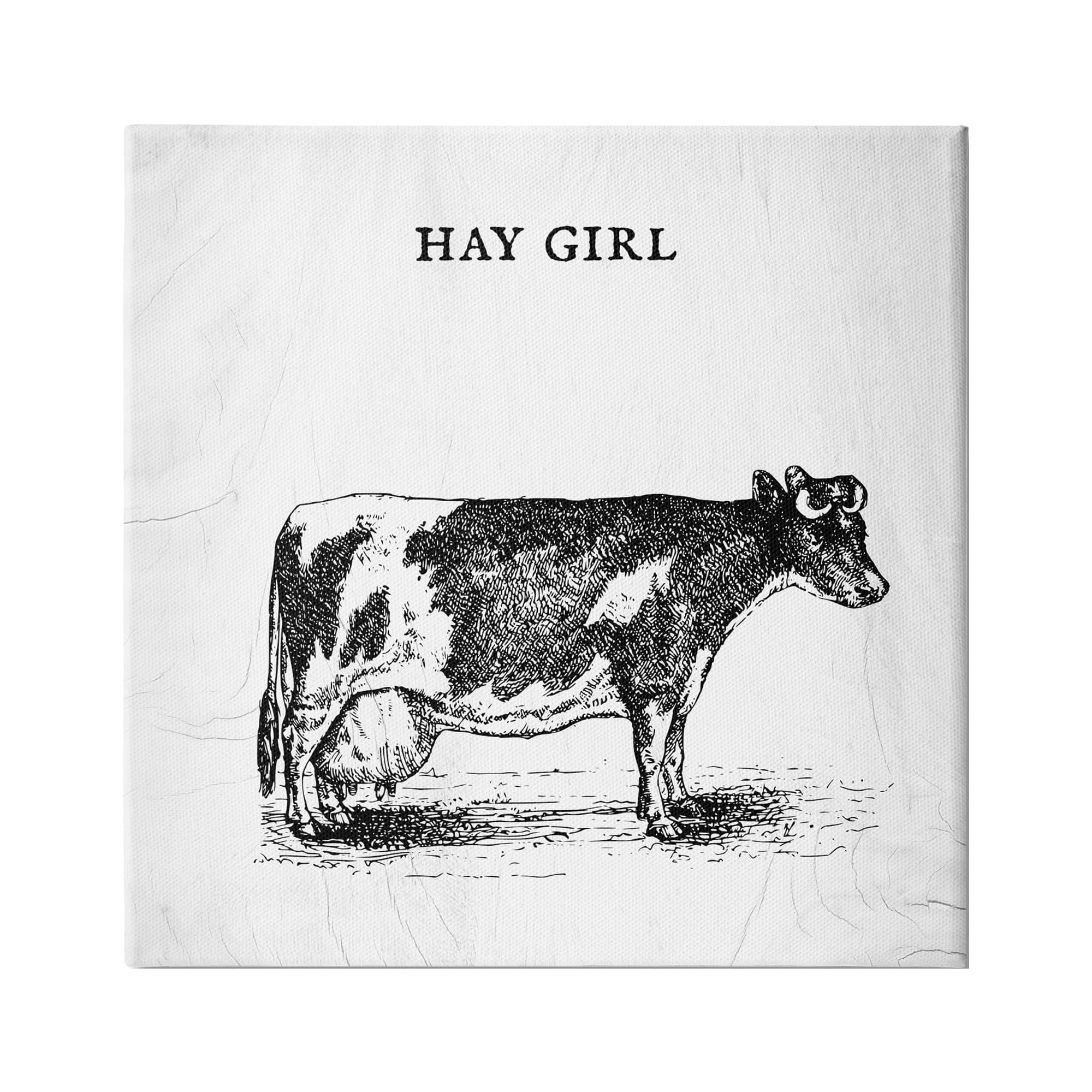 Stupell Hay Girl Funny Farmhouse Dairy Cow Pun Canvas - Walmart.com