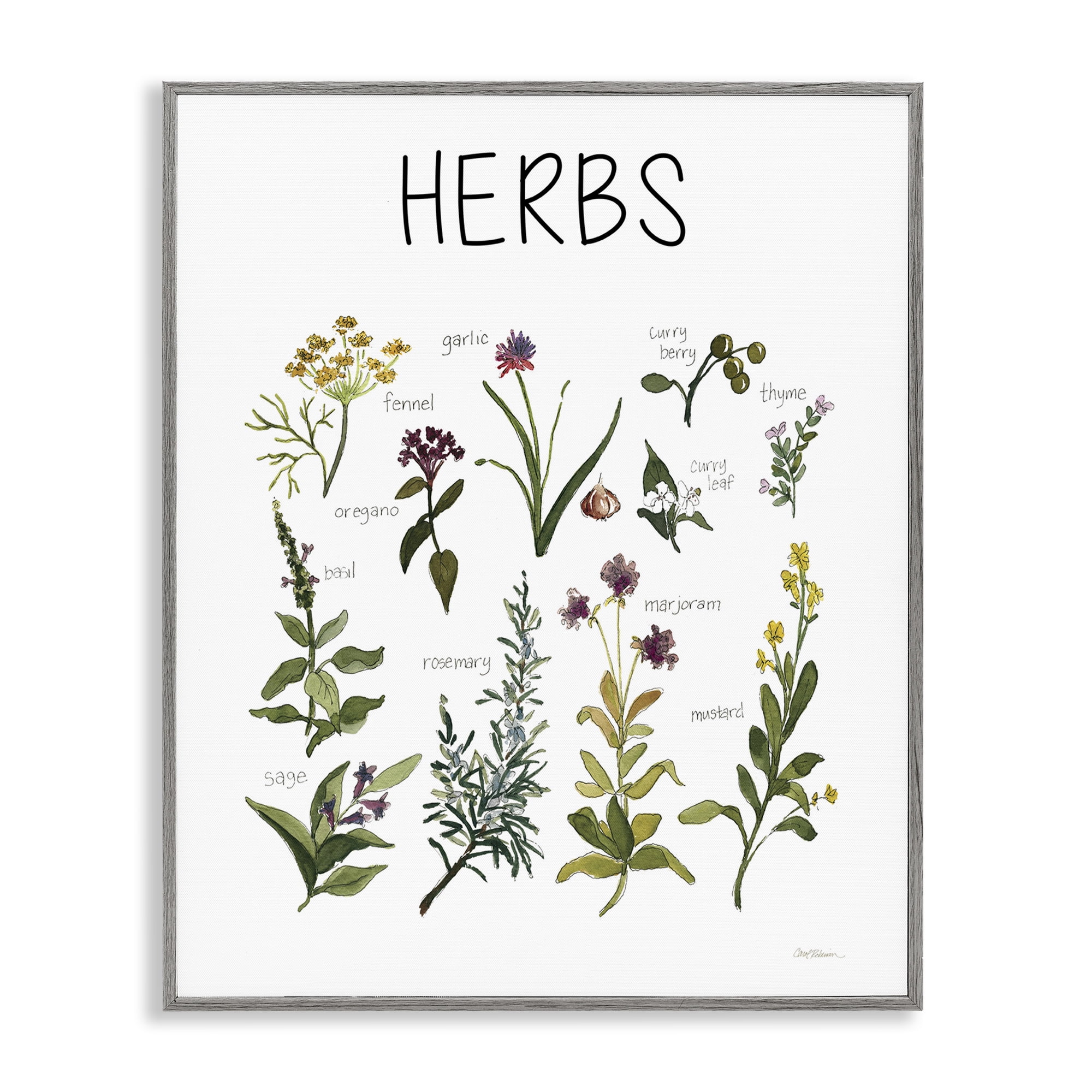 Stupell Industries Herbs Identification Chart Gray Framed Giclee Art ...