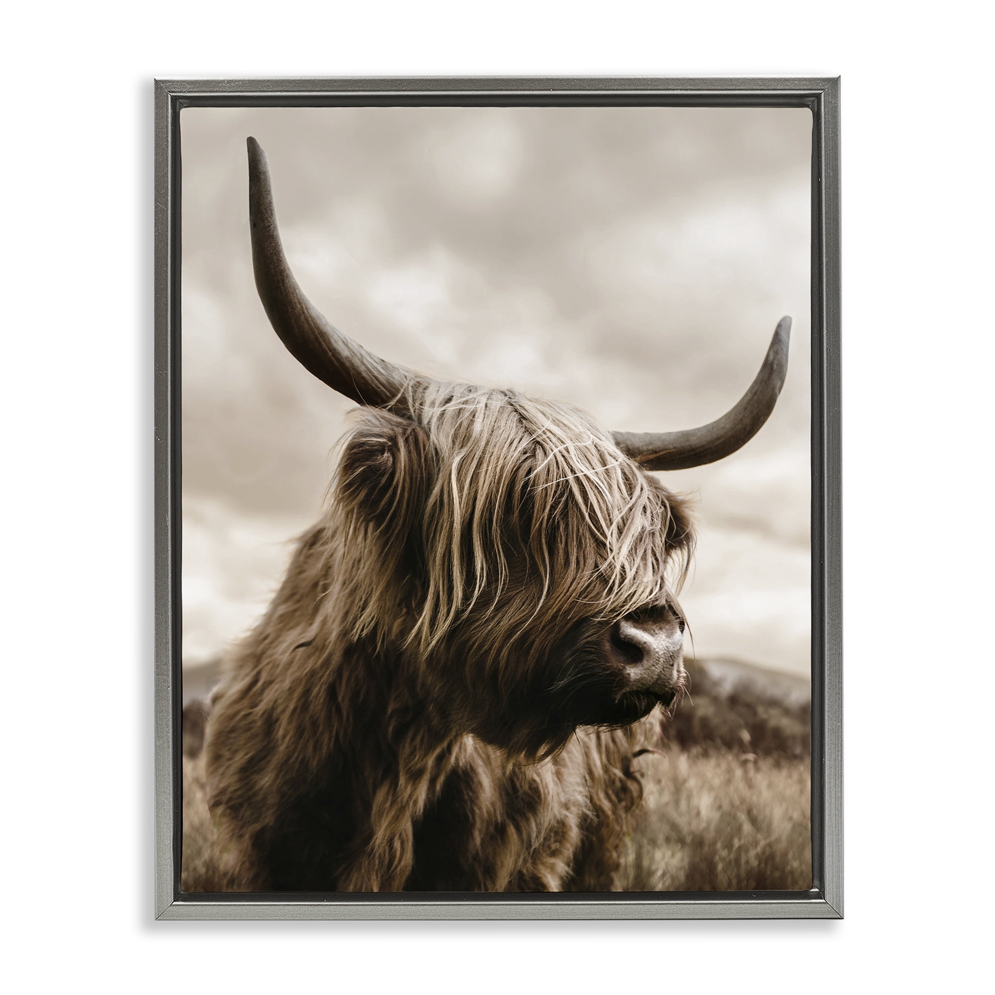 Stupell Industries Highland Cow on Windswept Moor Gray Framed Floater ...