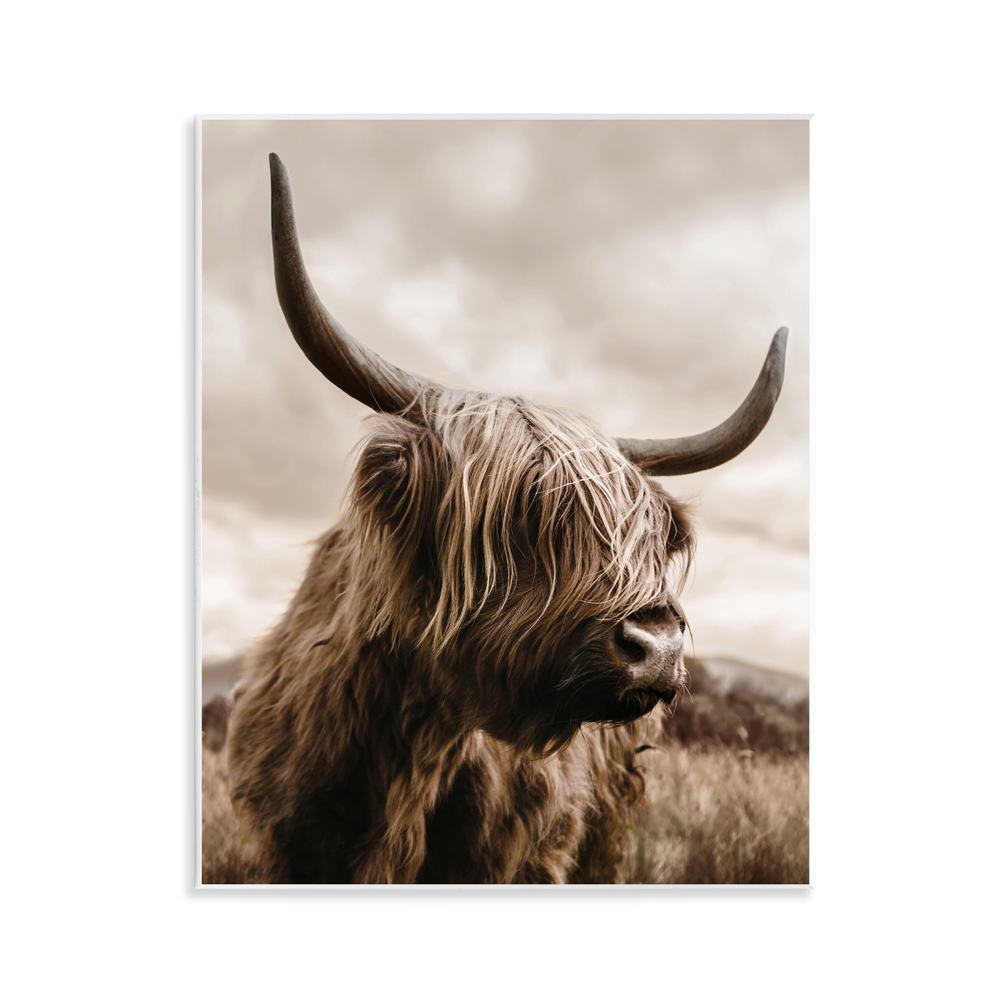 Stupell Industries Highland Cow on Windswept Moor Wall Plaque Art ...