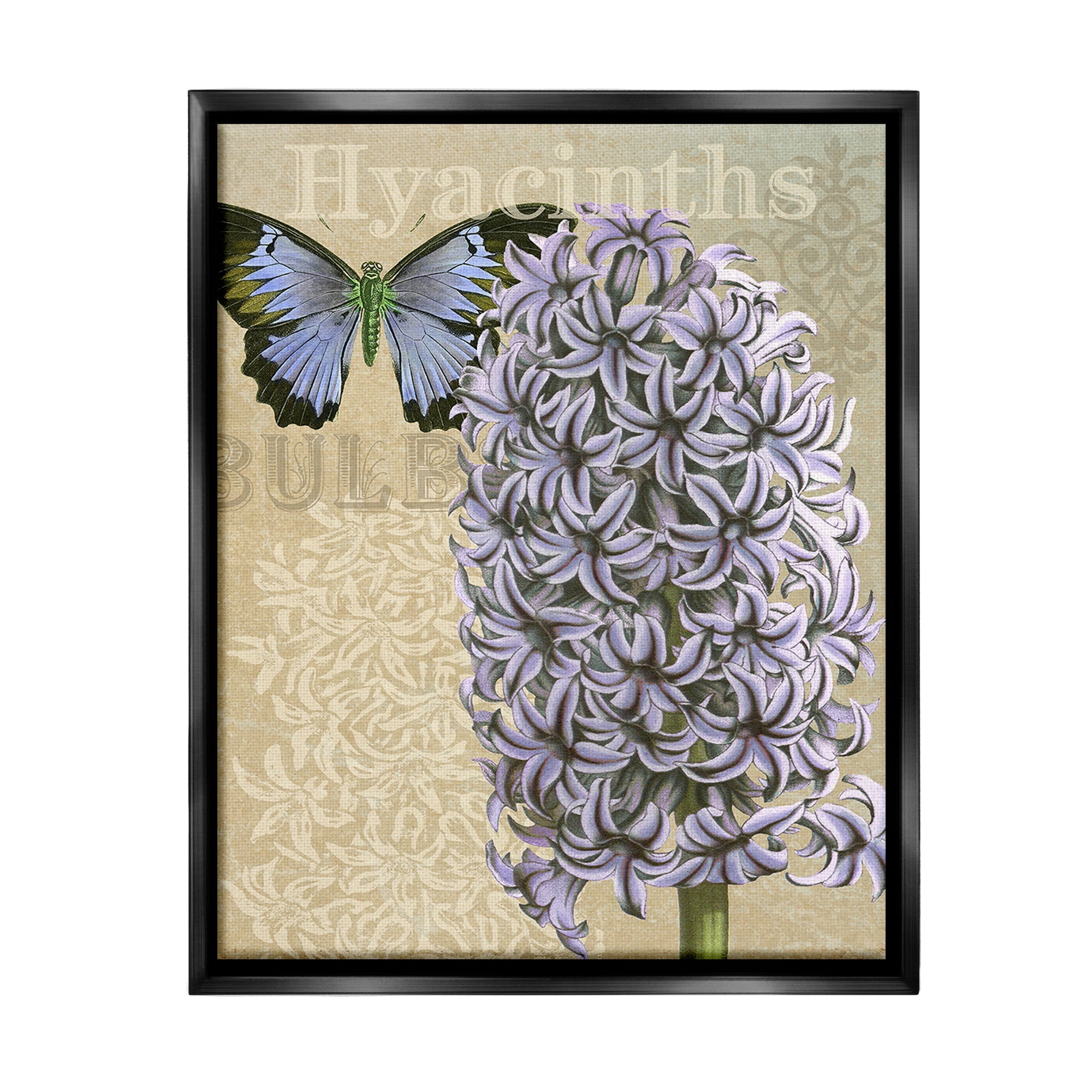 Stupell Industries Hyacinth Pattern & Butterfly Botanical & Floral ...