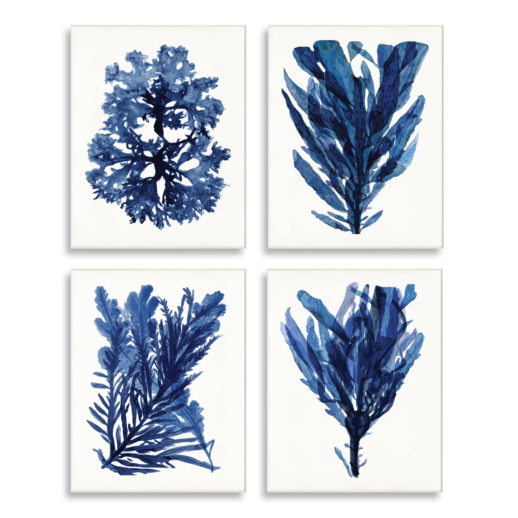 Stupell Industries Indigo Blue Ocean Plants Coastal Sea Kelp Nature ...