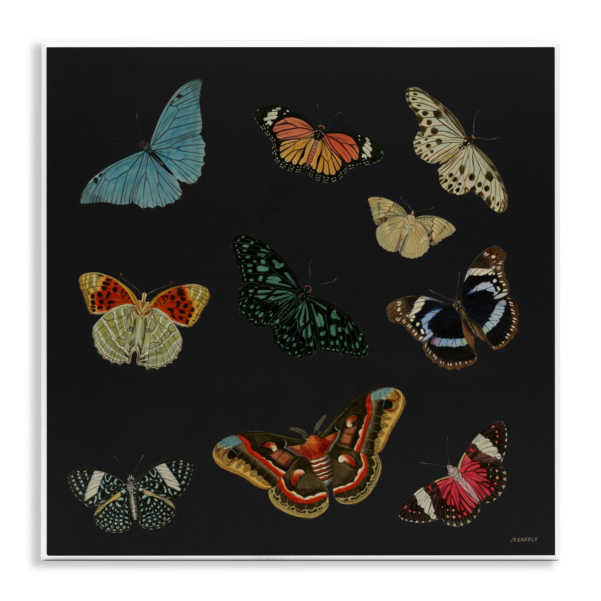 Stupell Industries Insects Group on Black Wall Plaque Art, design by ...