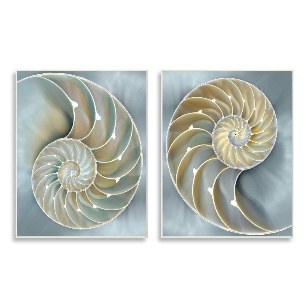 Stupell Industries Intricate Nautilus Interior Natural Geometric Design ...