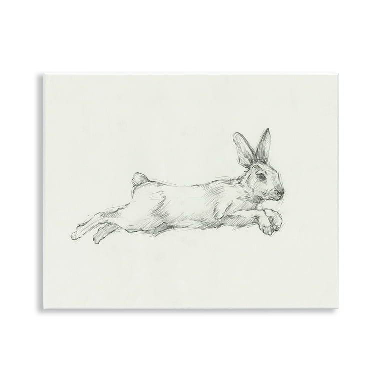Jumping Hare Drawing Illustration Of A Rabbit Jumping Stock