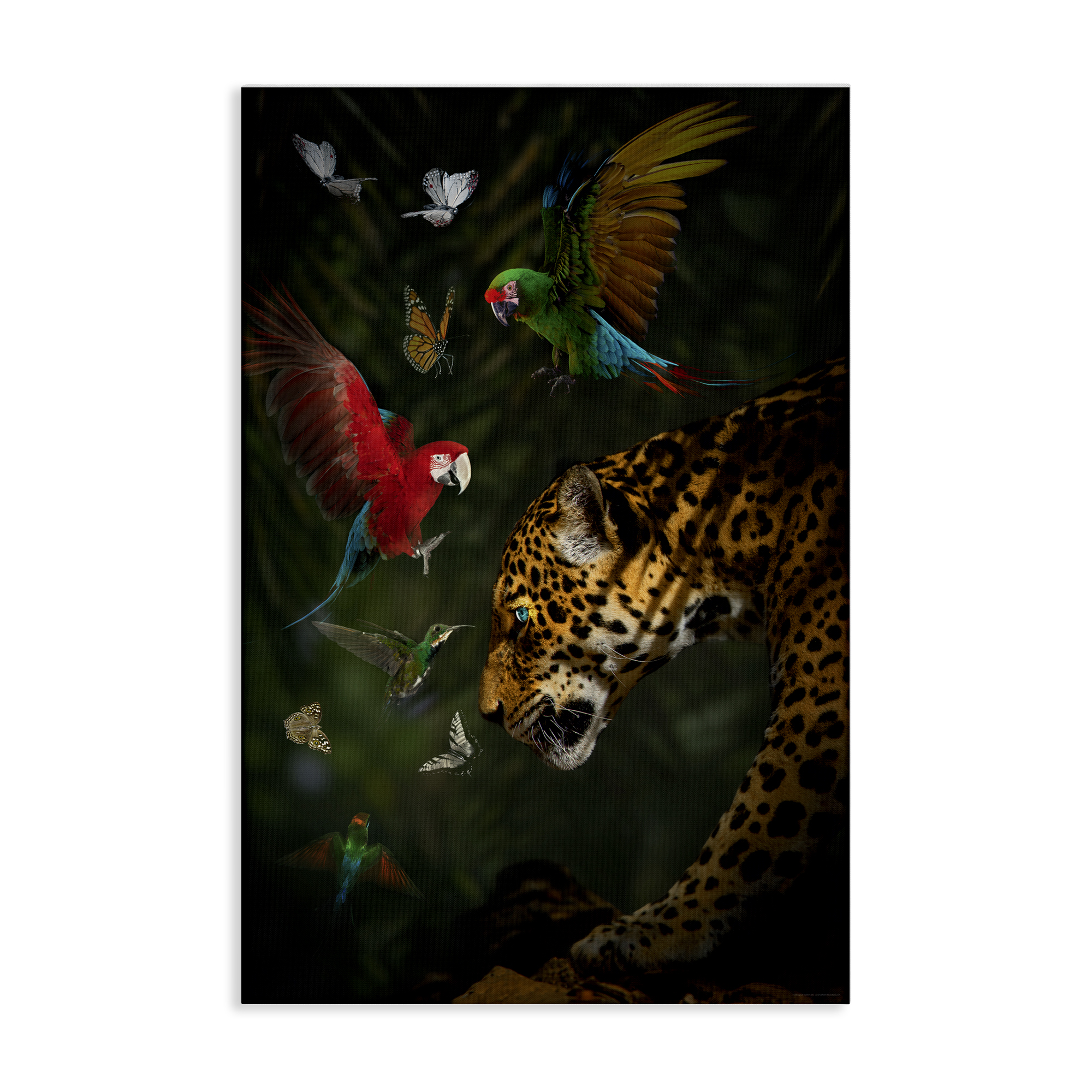 Stupell Industries Jungle Brawl Animals Animals Painting Wrapped Canvas ...