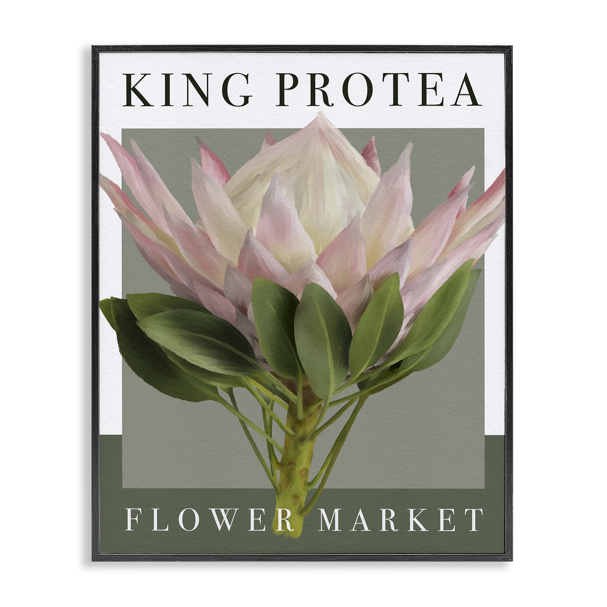 Stupell Industries King Protea Flower Market Black Framed Giclee Art ...