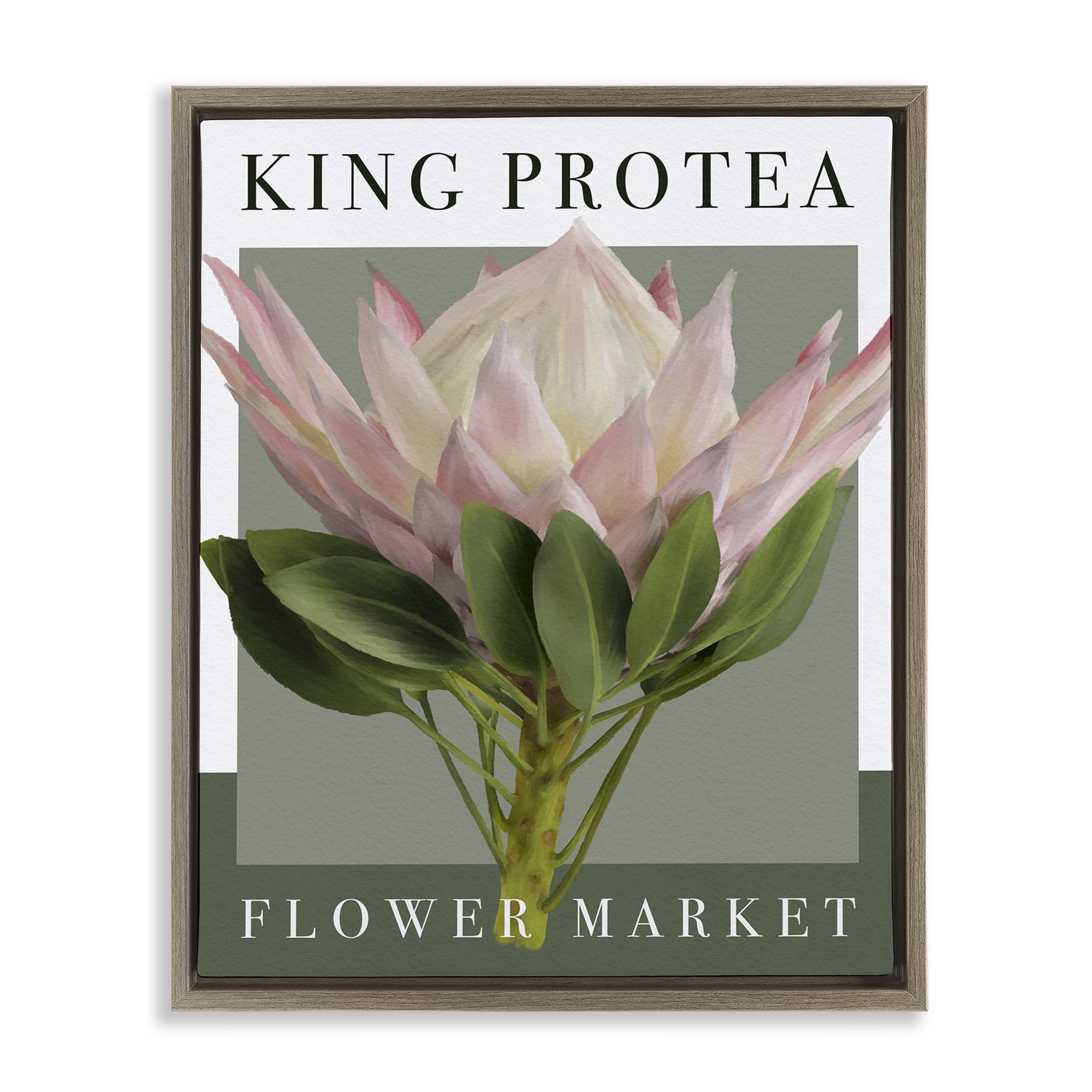 Stupell Industries King Protea Flower Market Brown Framed Floater ...