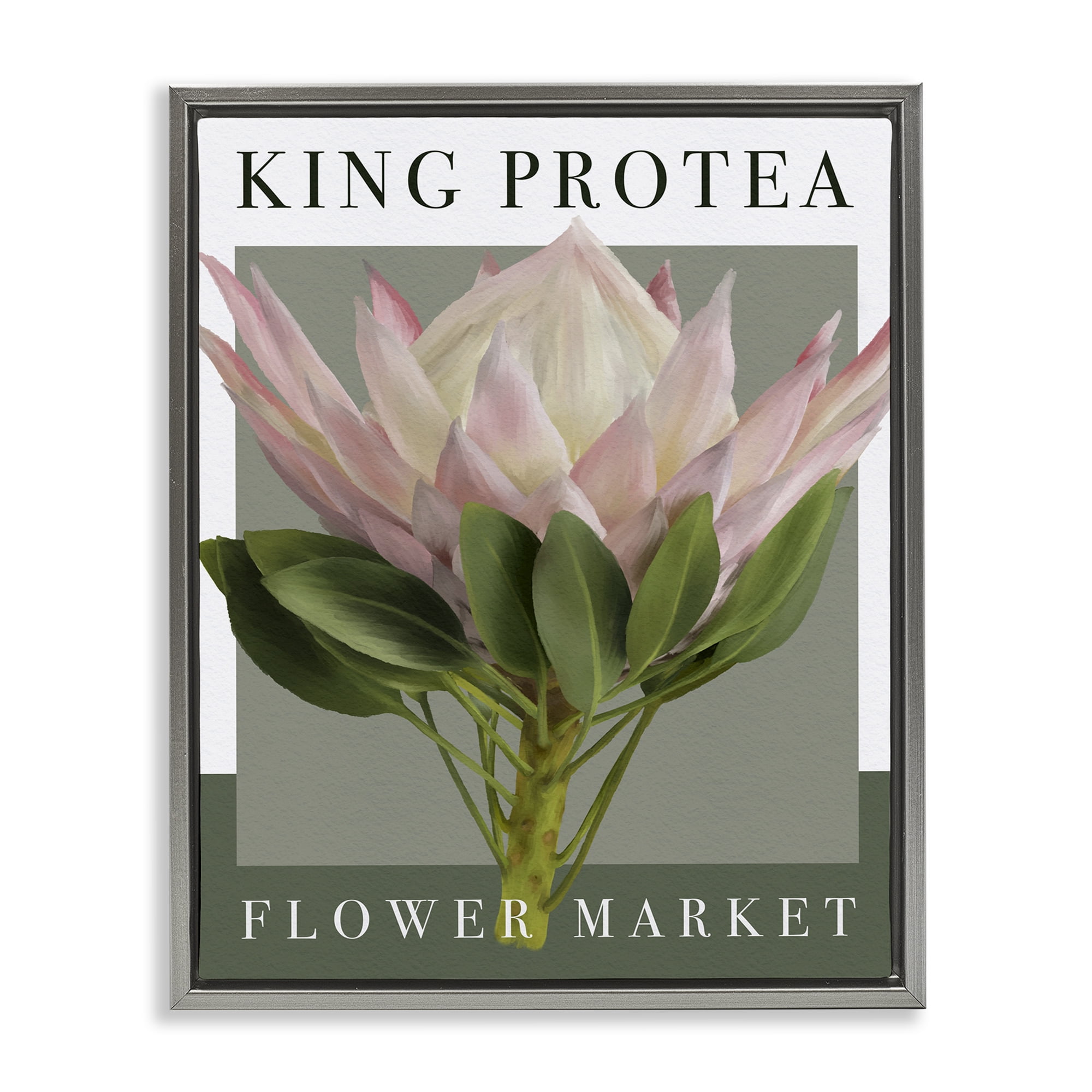 Stupell Industries King Protea Flower Market Gray Framed Floater Canvas ...