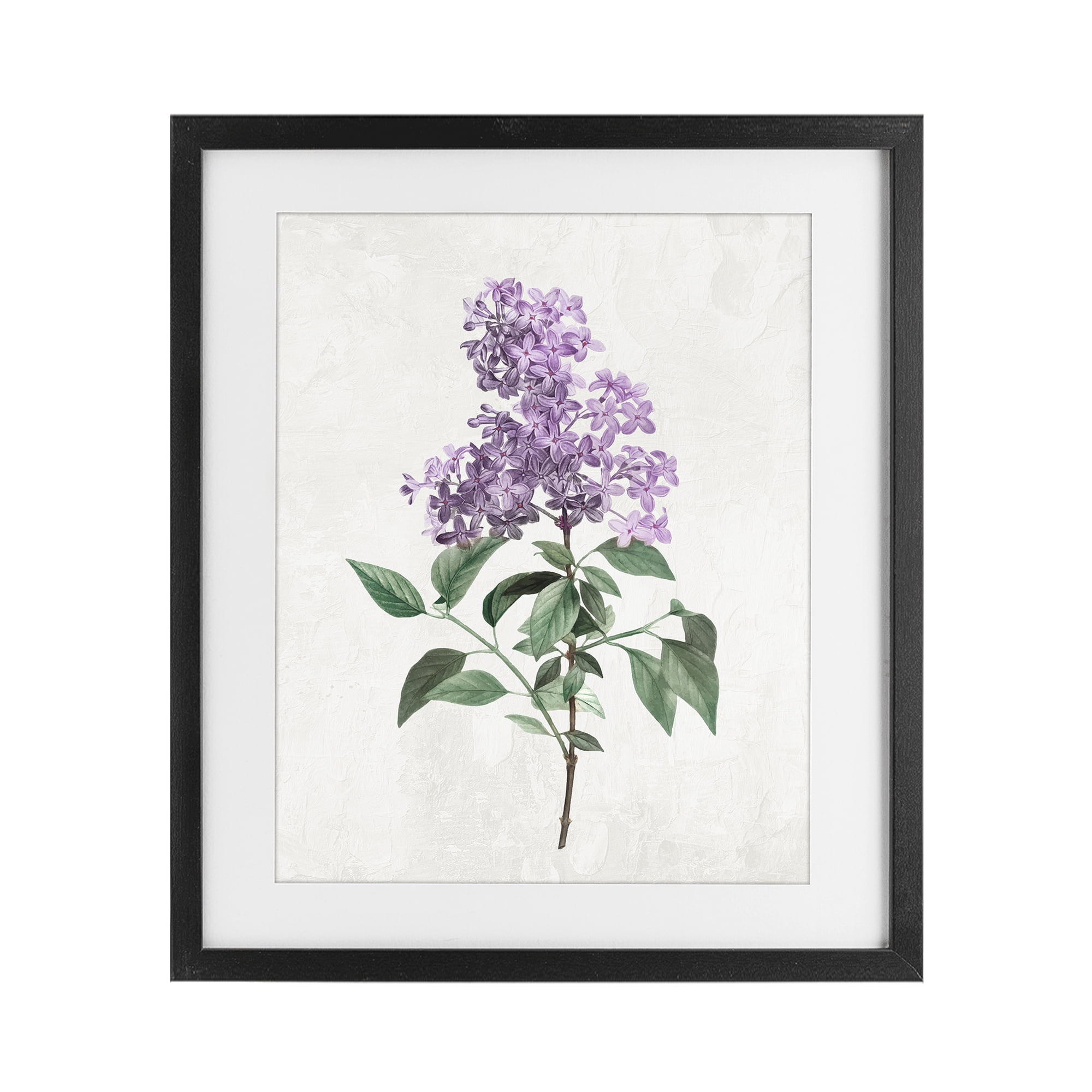 Stupell Industries Lilac Herb Blossoms Black Framed Print Under Glass ...