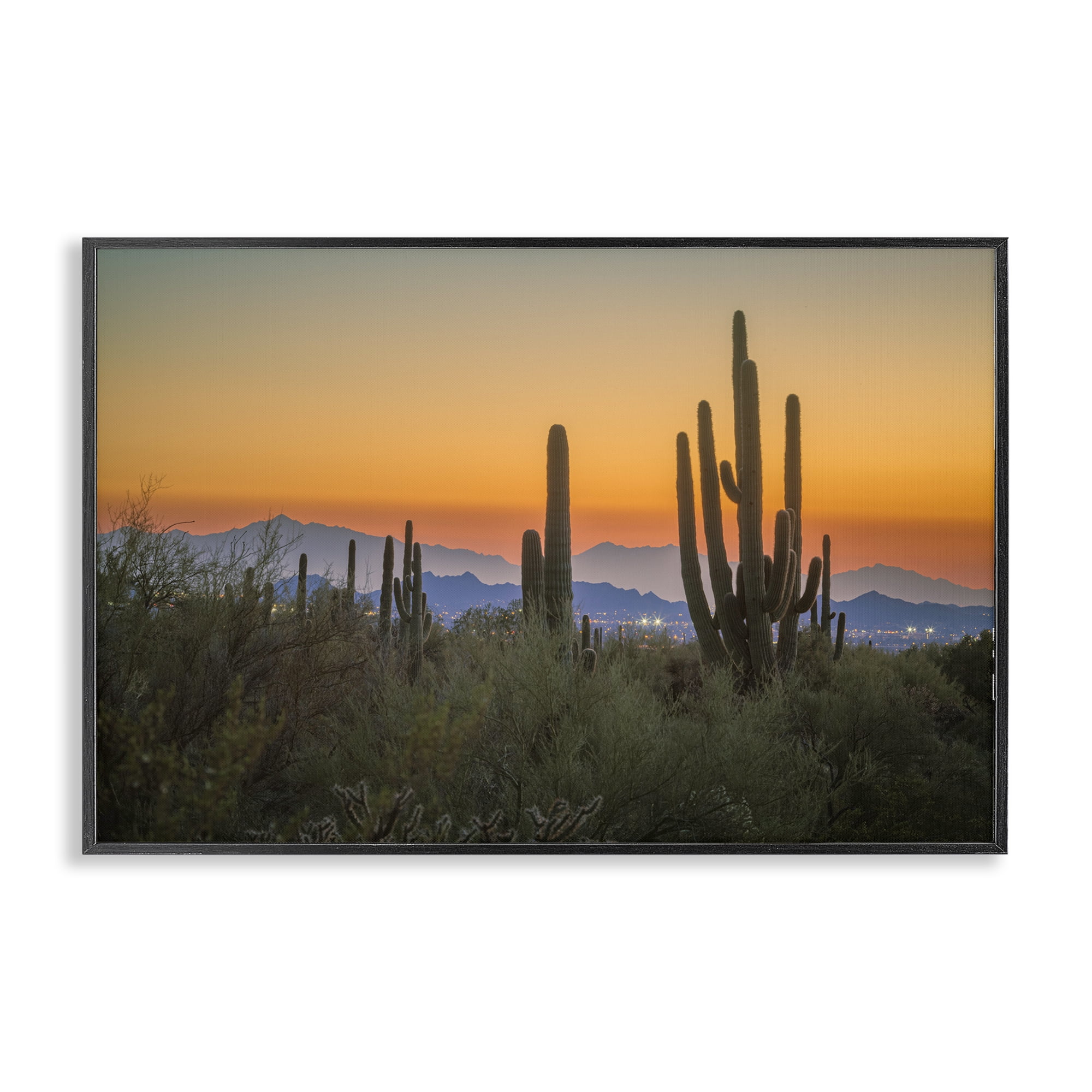 Stupell Industries Looming Cacti Sunset Landscape & Nature Photography ...