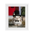 Stupell Industries Lord Bunbury Rabbit White Framed Print Under Glass ...