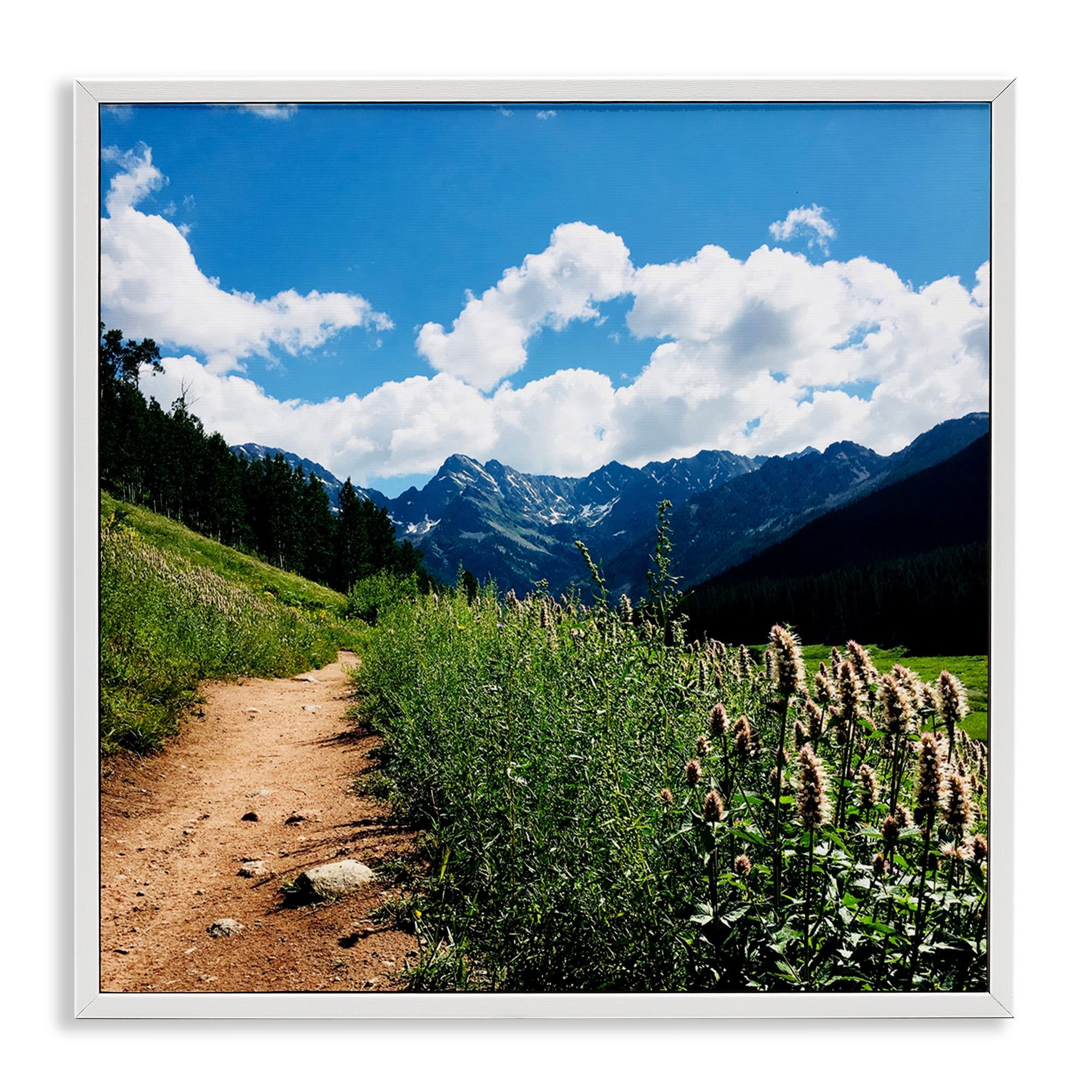 Stupell Industries Lovely Path with Clouds Landscape & Nature ...
