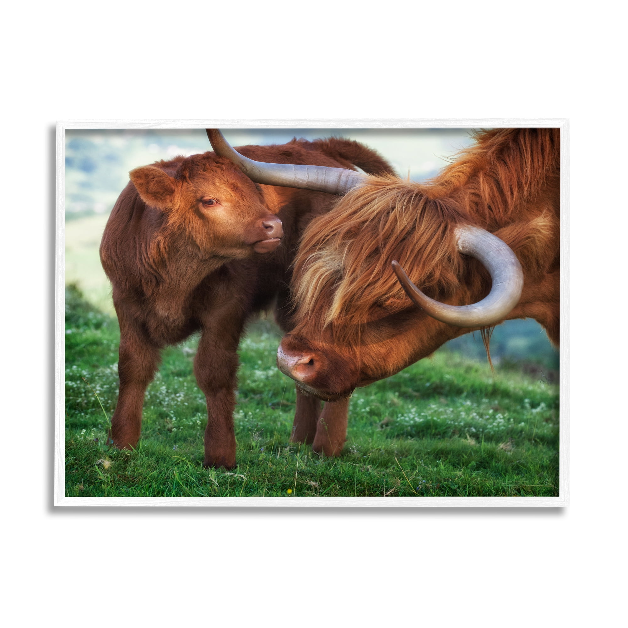 Stupell Industries Loving Longhorn Cattle Nuzzling Calf Heartwarming ...