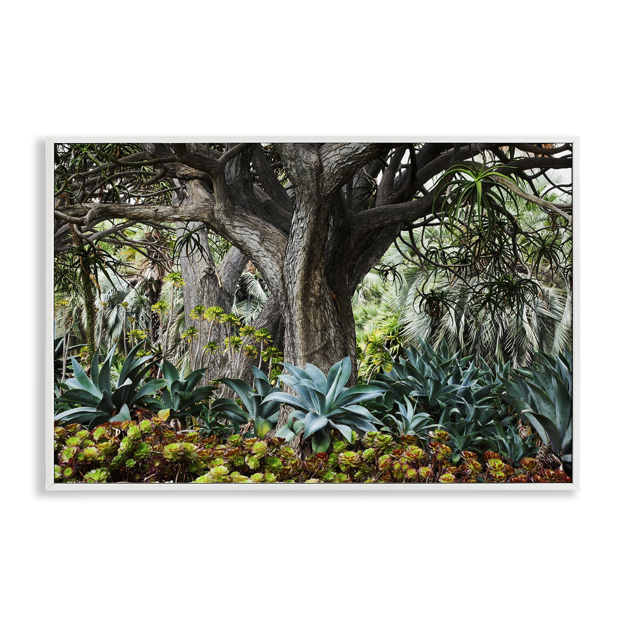 Stupell Industries Lush Tropical Vegetation Landscape & Nature ...