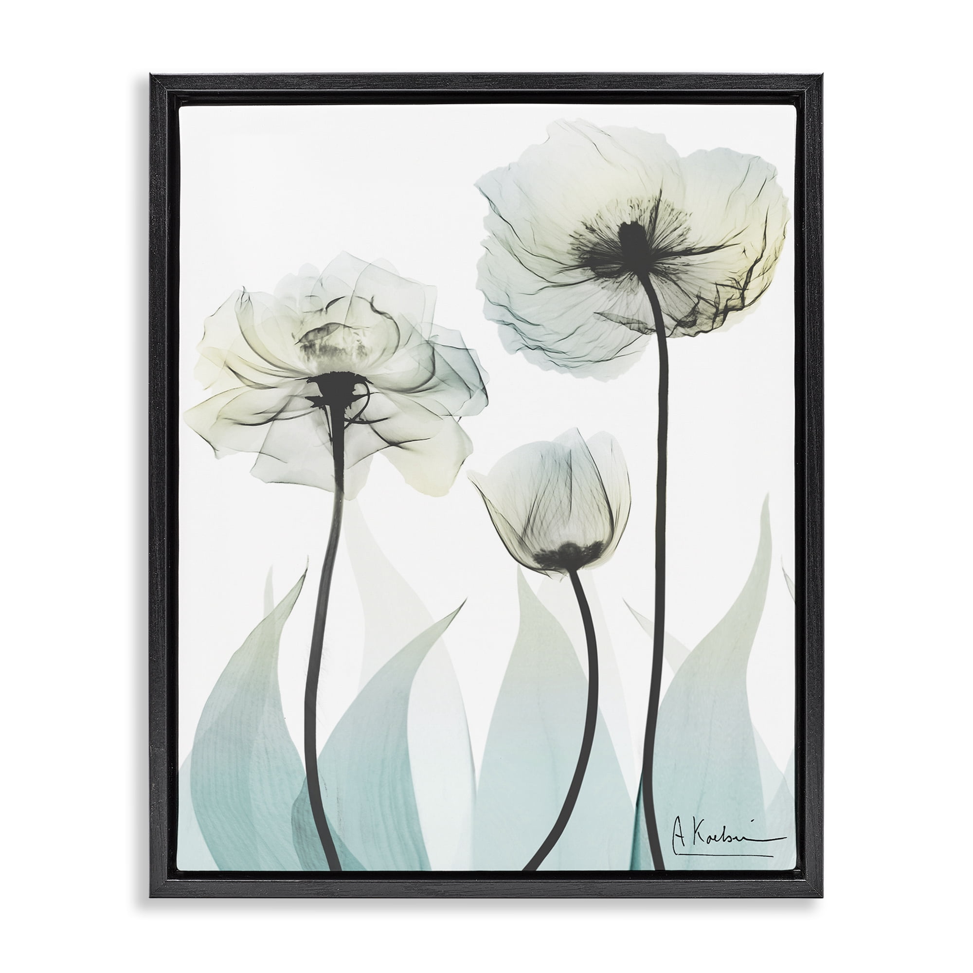 Stupell Industries Luxury Of Creation Black Framed Floater Canvas Wall ...