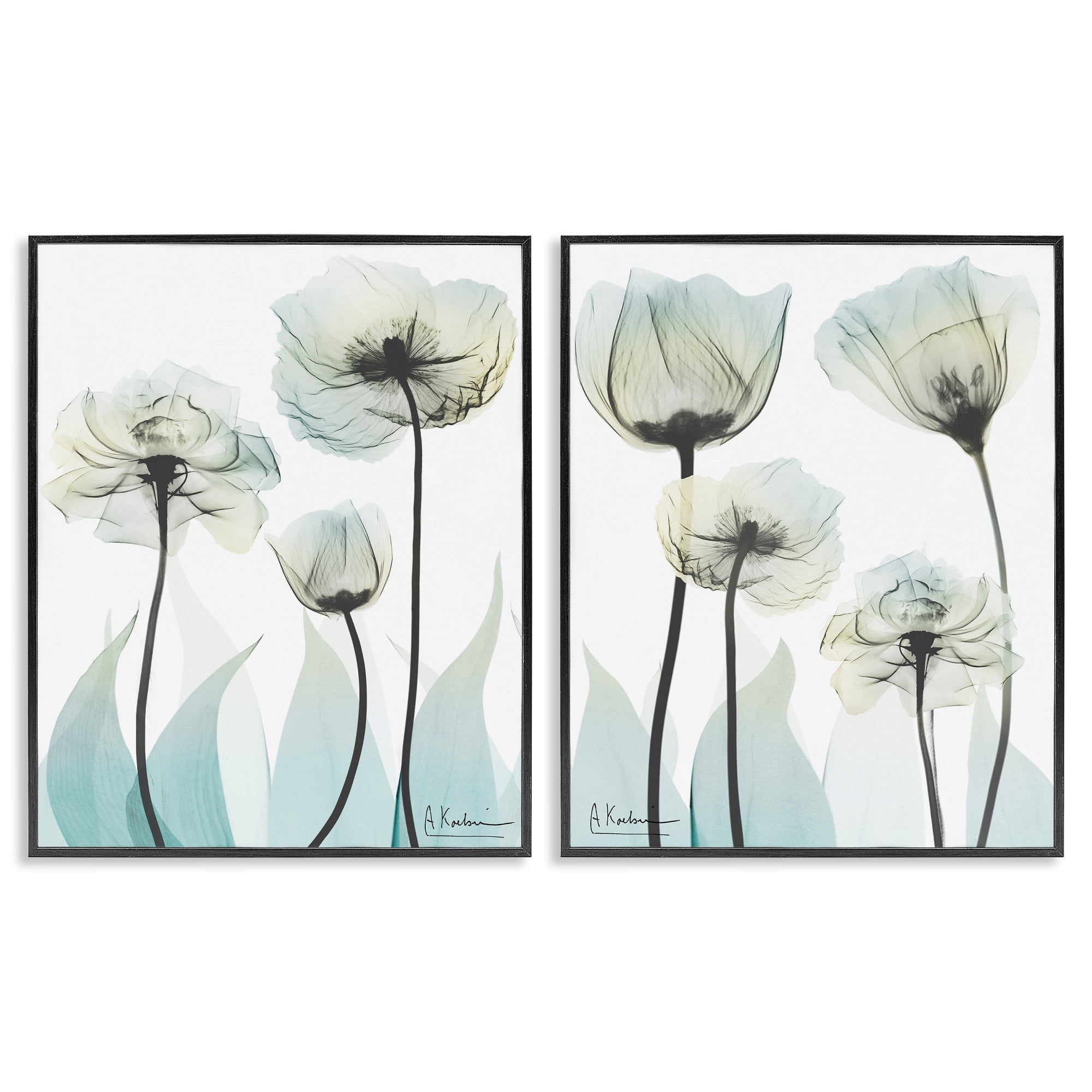 Stupell Industries Luxury Of Creation Flowers 2 Piece Black Framed ...