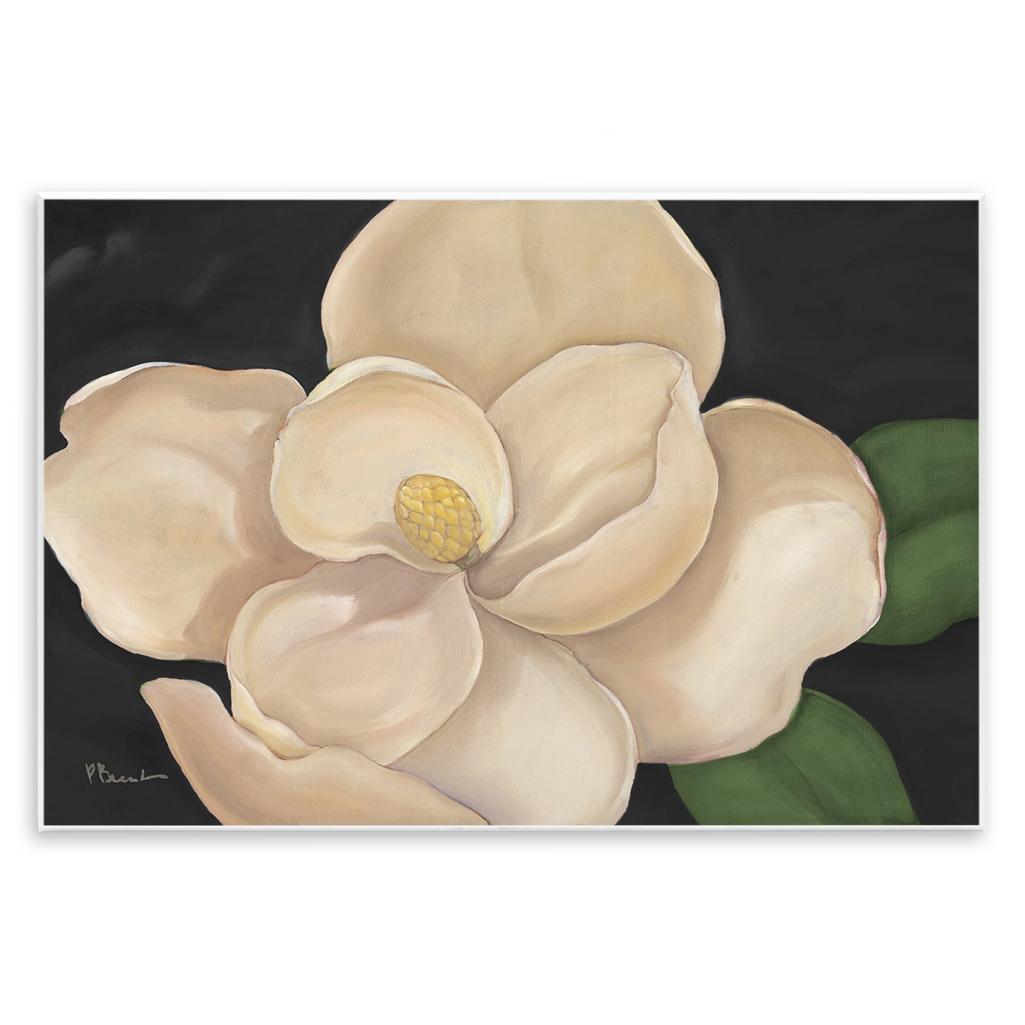 Stupell Industries Magnolia Grandiflora on Black Wall Plaque Art design ...