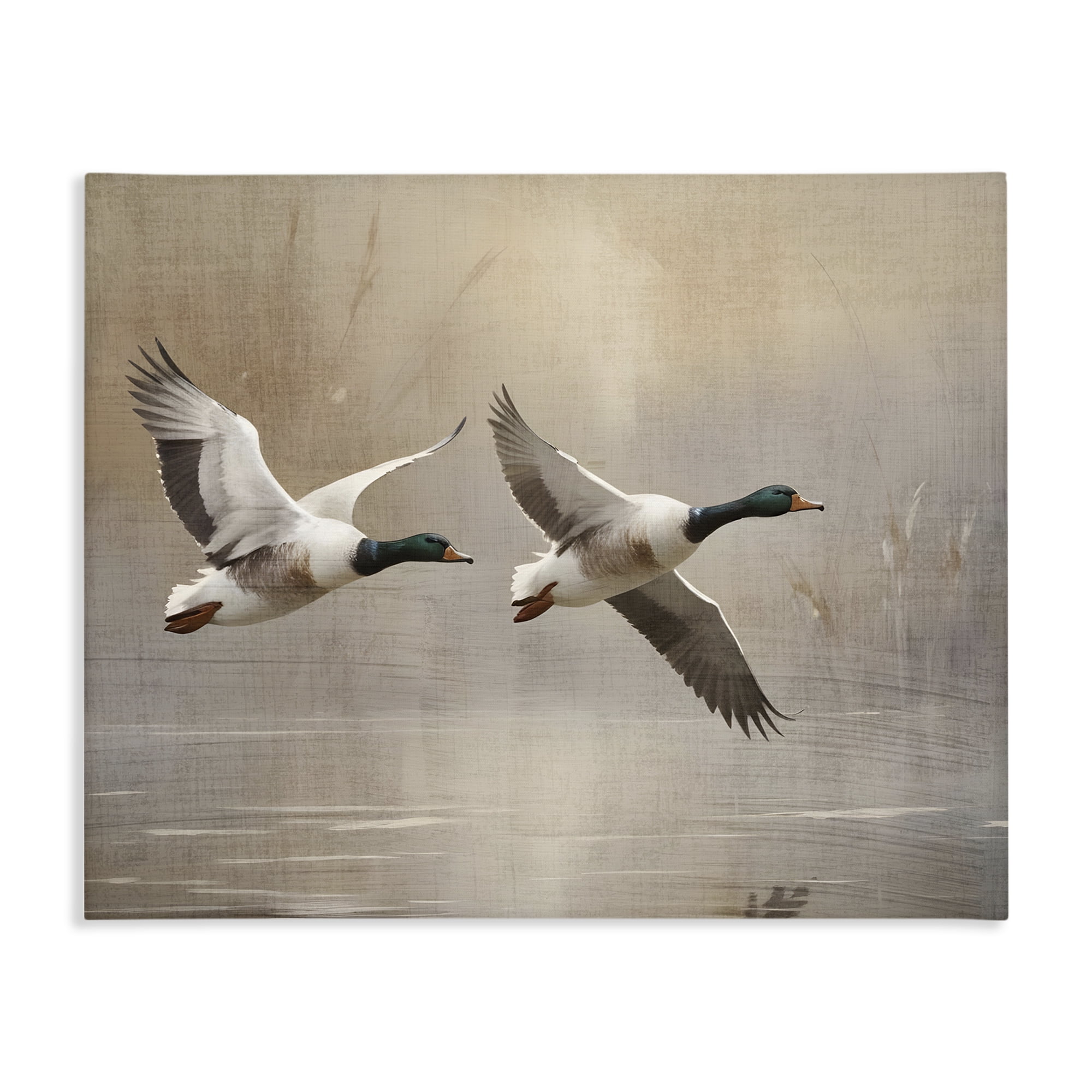 Stupell Industries Mallard Ducks over Pond Canvas Wall Art, design by ...
