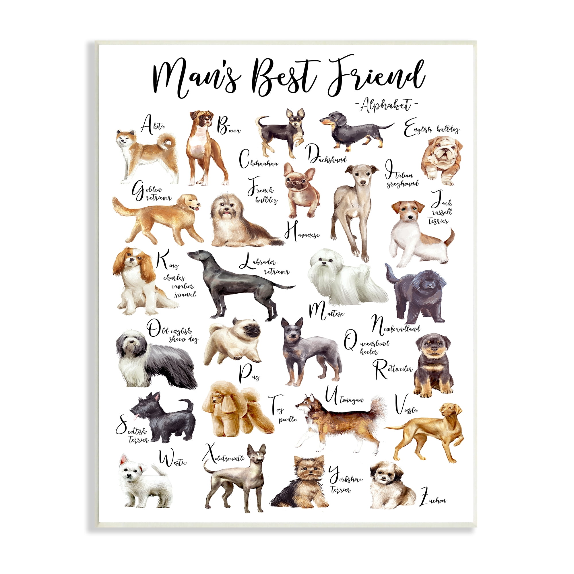 Stupell Industries Man's Best Friend Alphabet Playful Dog ABC Chart ...