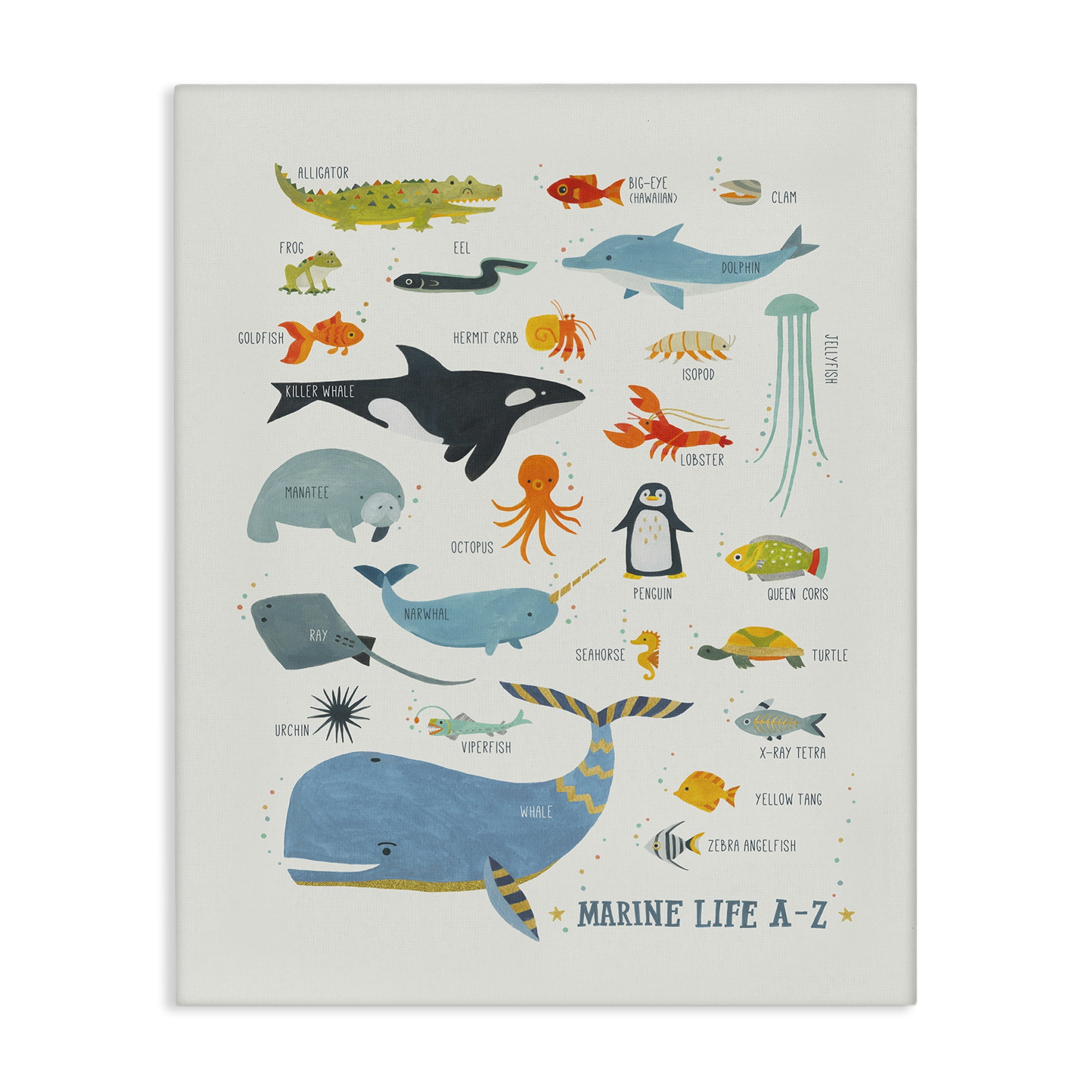 Stupell Industries Marine Life ABC Alphabet Education Painting Wrapped ...