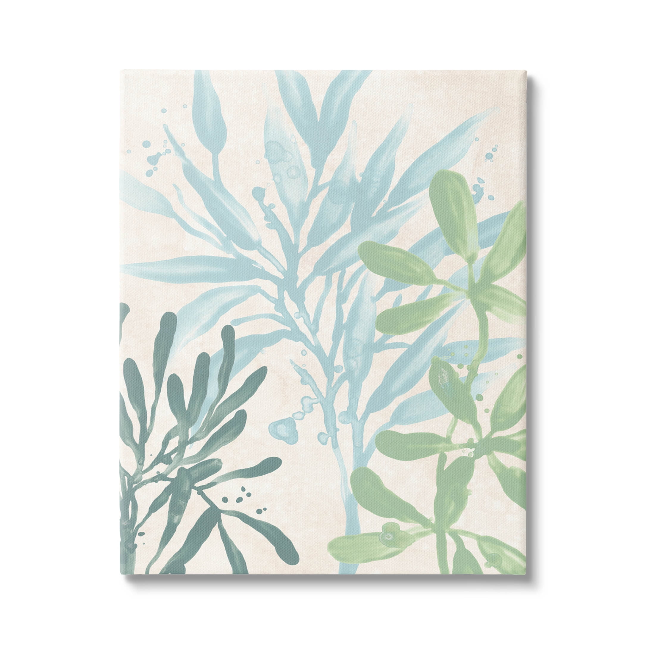 Stupell Industries Marine Seaweed Plant Leaves Graphic Art Gallery ...