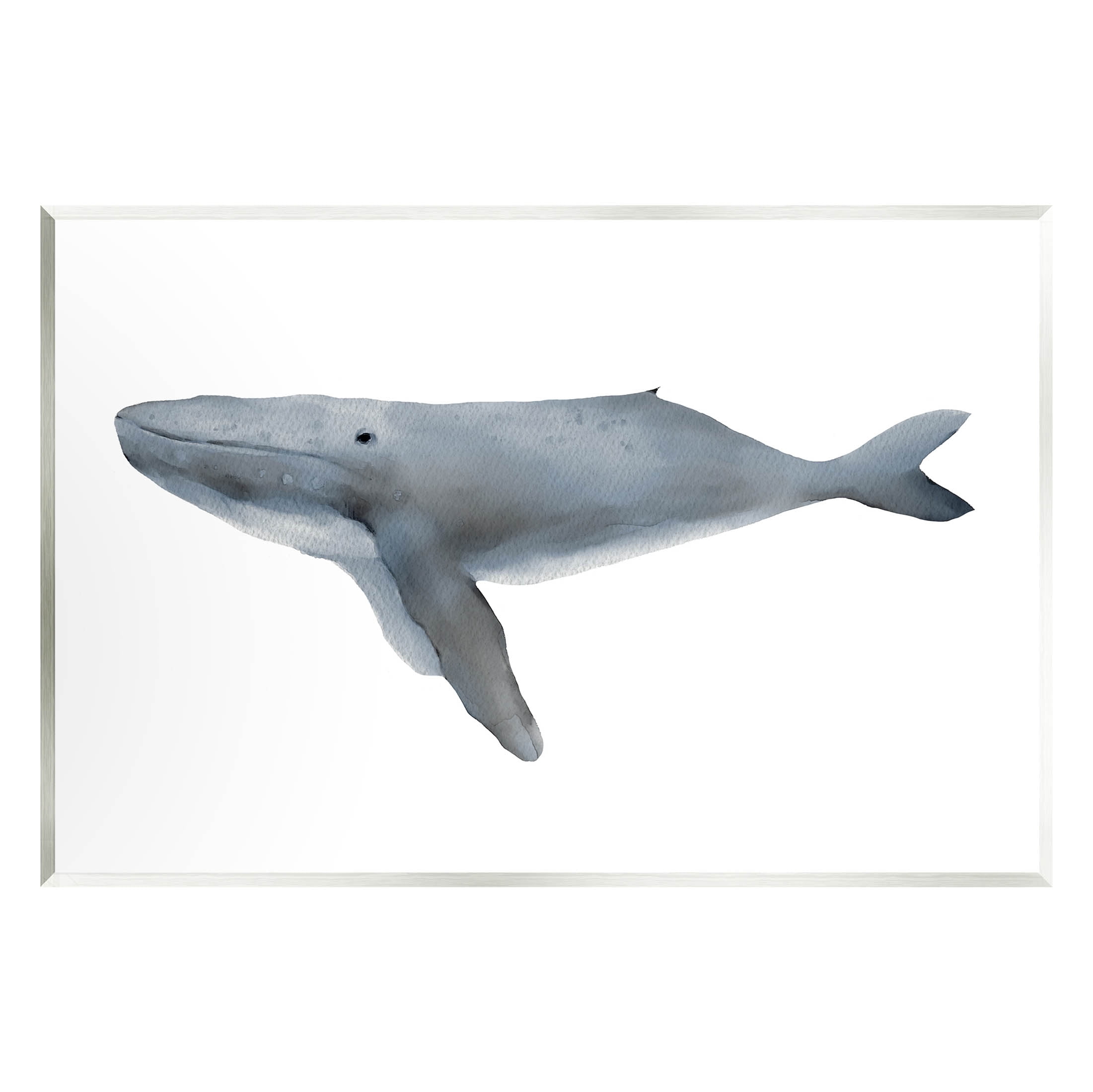 Stupell Industries Marine Whale Wall Art - 19 x 13 Inches - Walmart.com