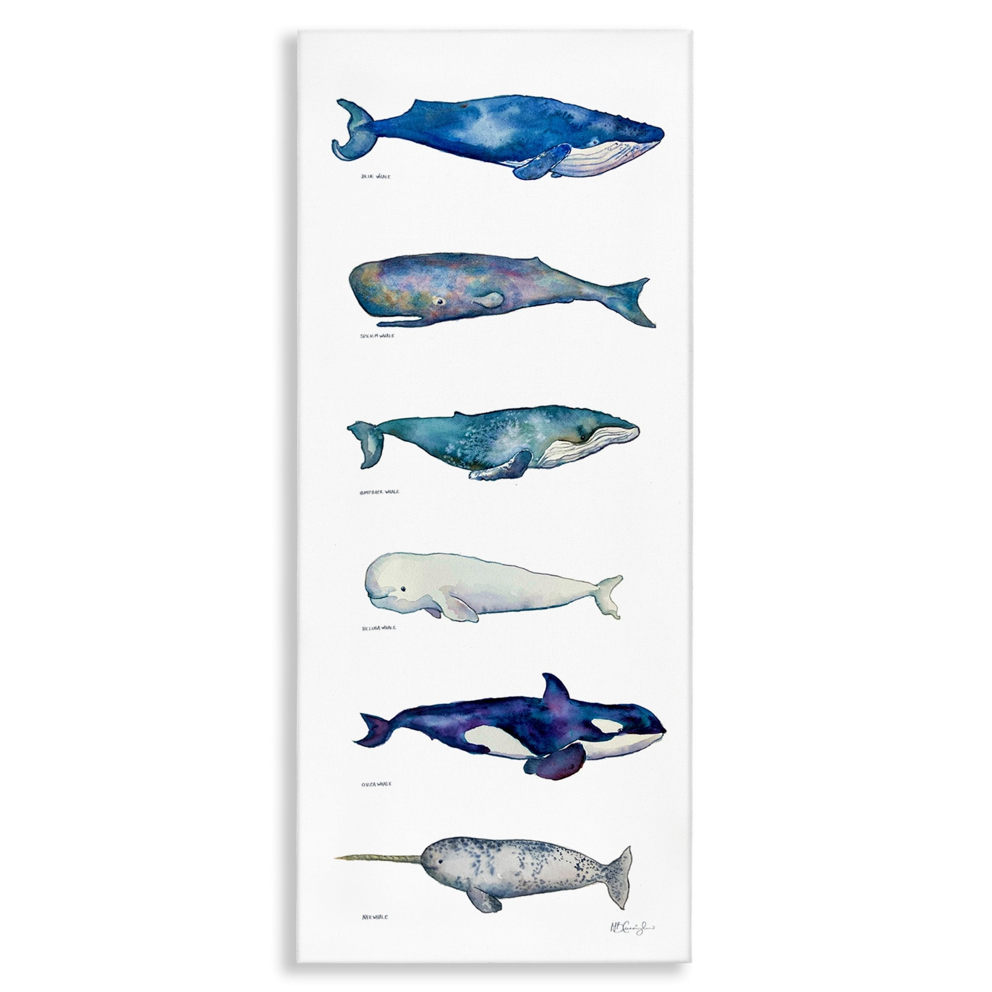 Stupell Industries Maritime Sea Life Ocean Whales Narwhal Chart Diagram ...