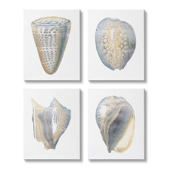 Stupell Industries Minimal Marine Shells Unique Blue Gold Pattern ...
