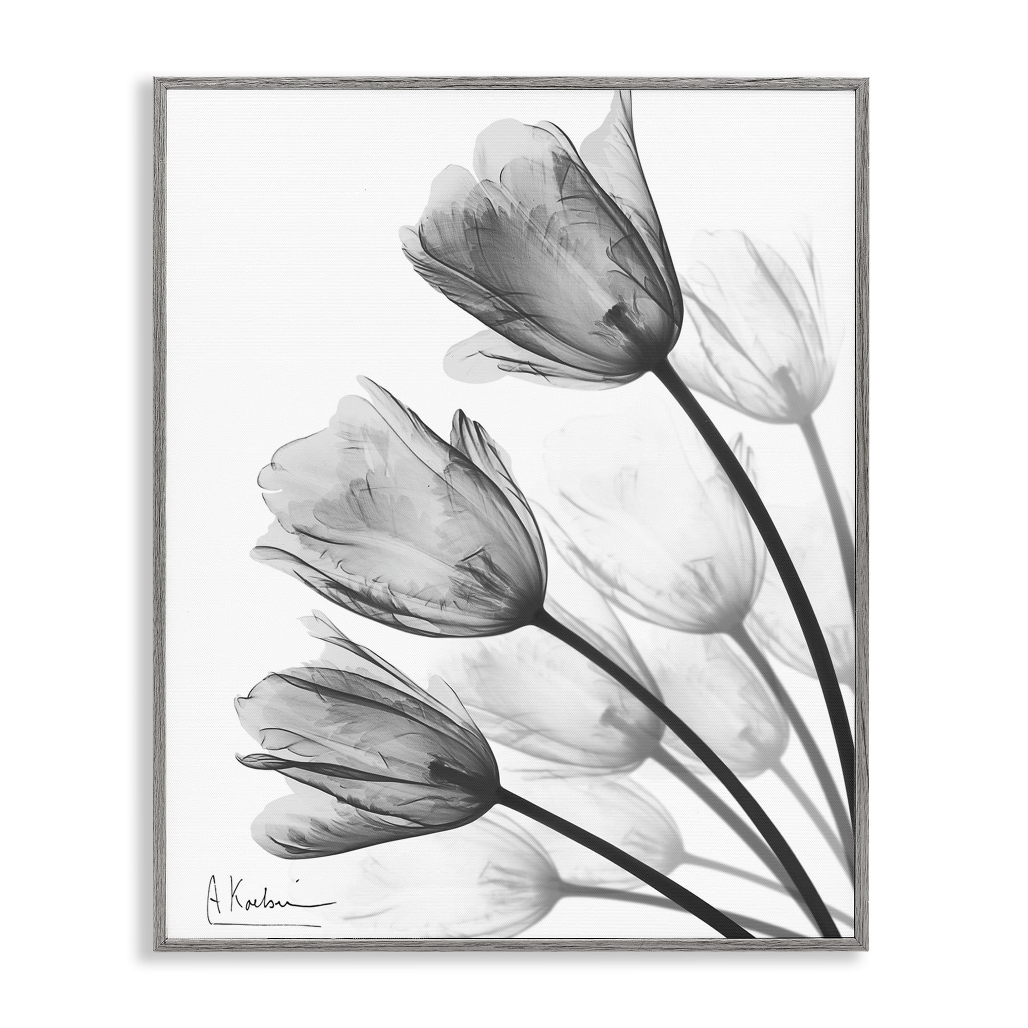 Stupell Industries Minimalist Tulip Fan Gray Framed Giclee Art, design ...