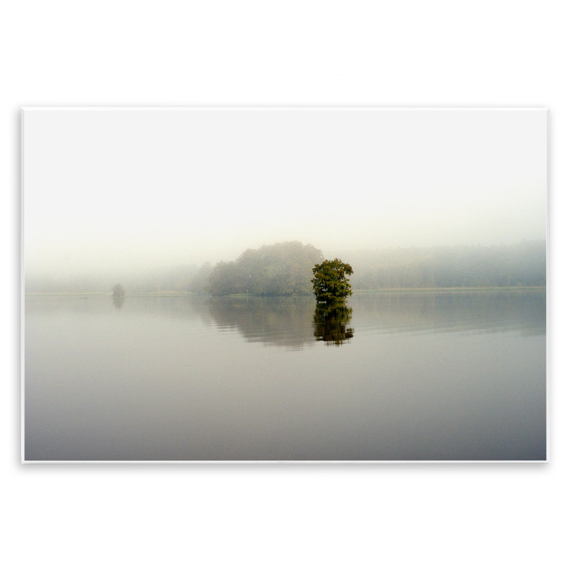 Stupell Industries Misty Lake Reflection Wall Plaque Art, design by ...