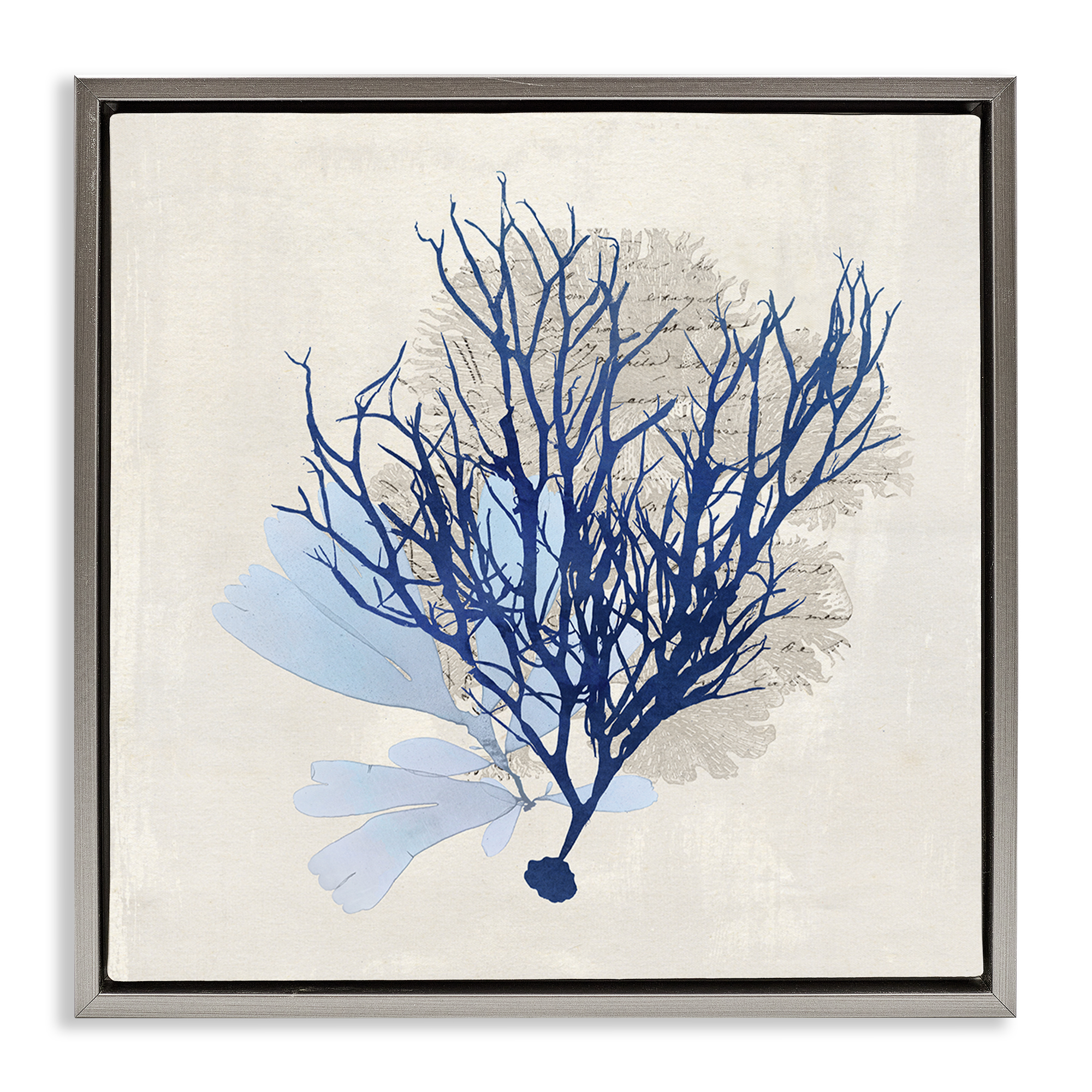 Stupell Industries Modern Coral Branch Nautical & Beach Painting Gray ...