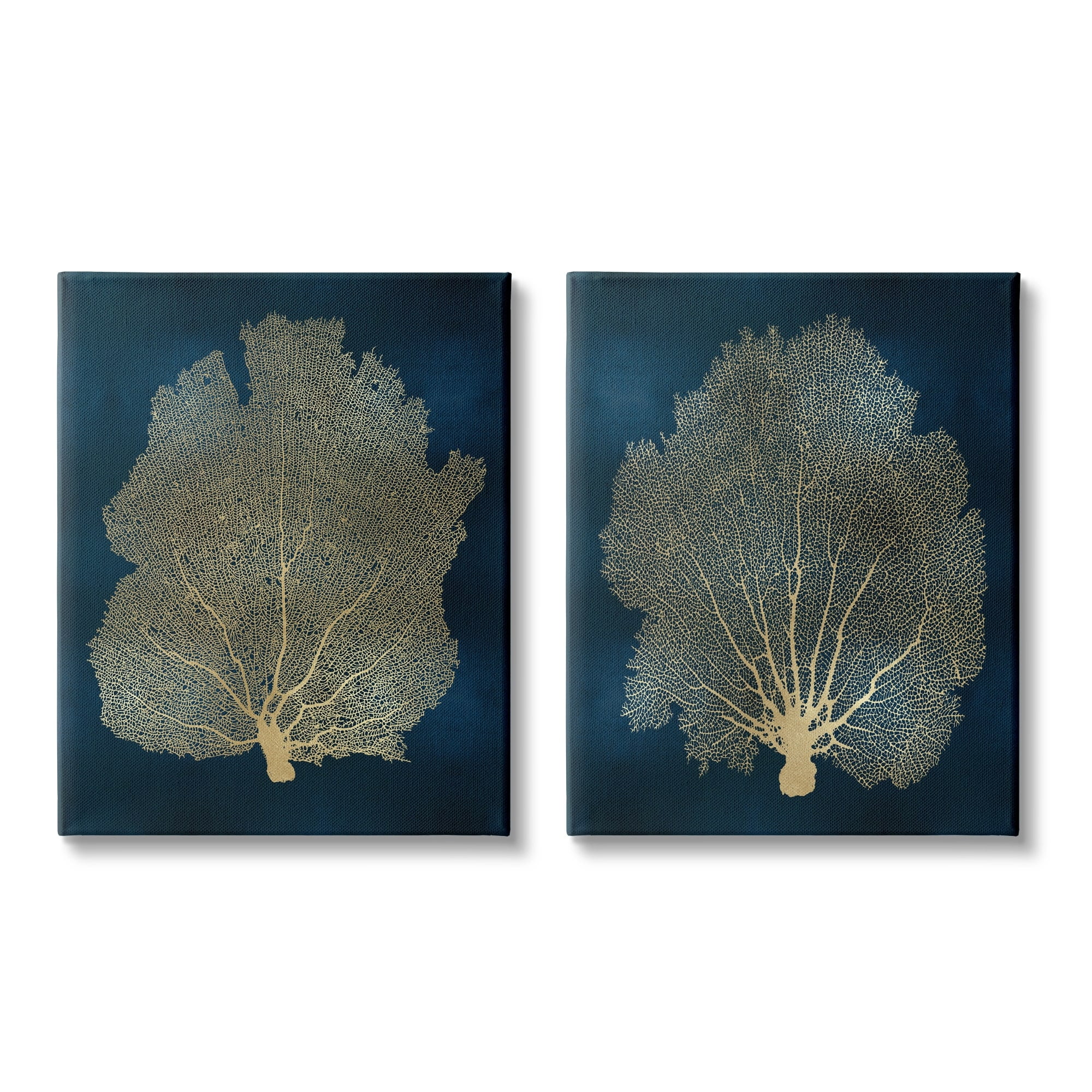 Stupell Industries Modern Sea Fan Composition Blue Gold Ocean Plant, 16 ...