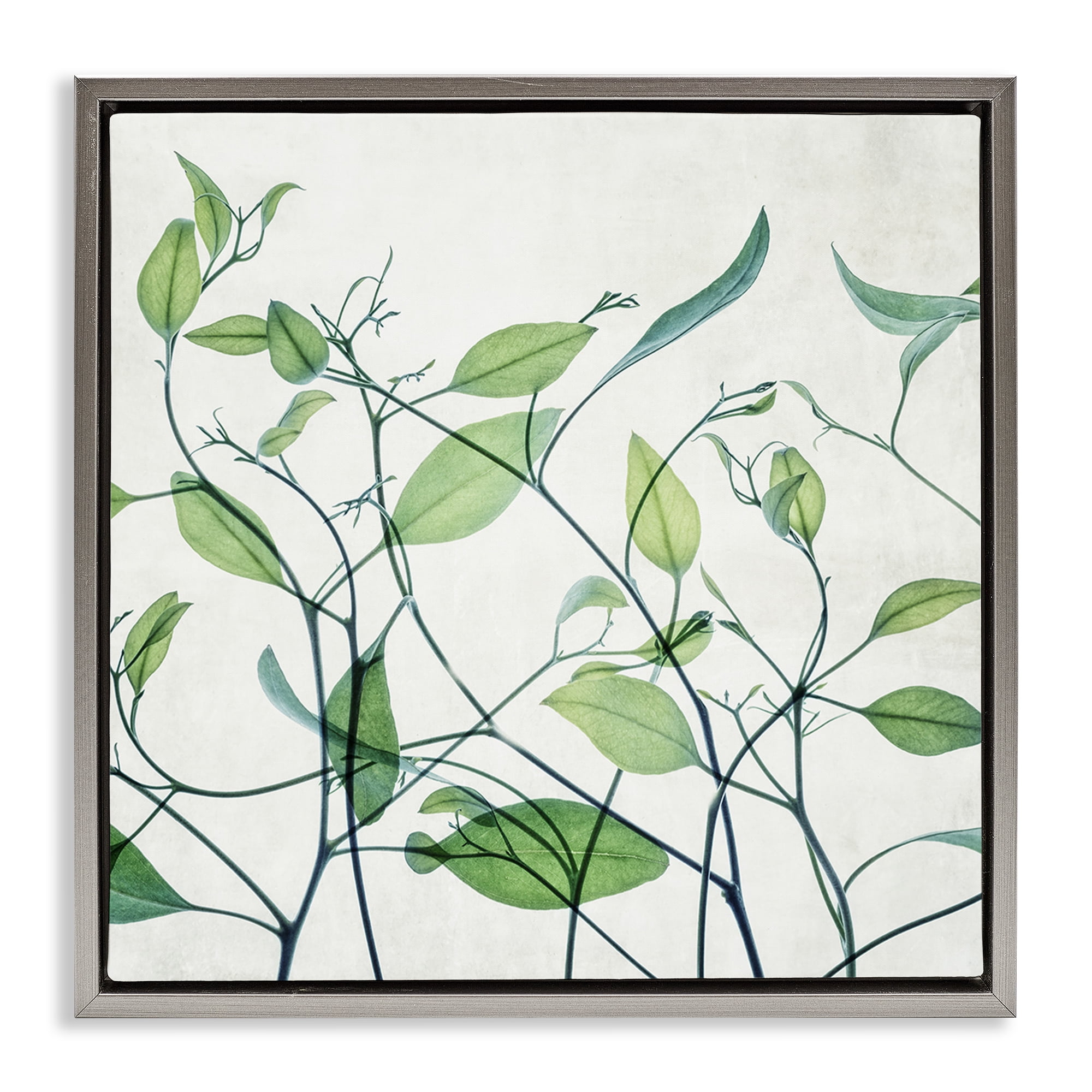 Stupell Industries Modern Vine Pattern Botanical & Floral Painting Gray ...