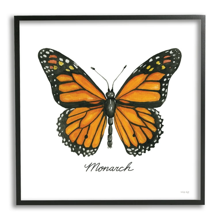 Monarch Butterfly Design