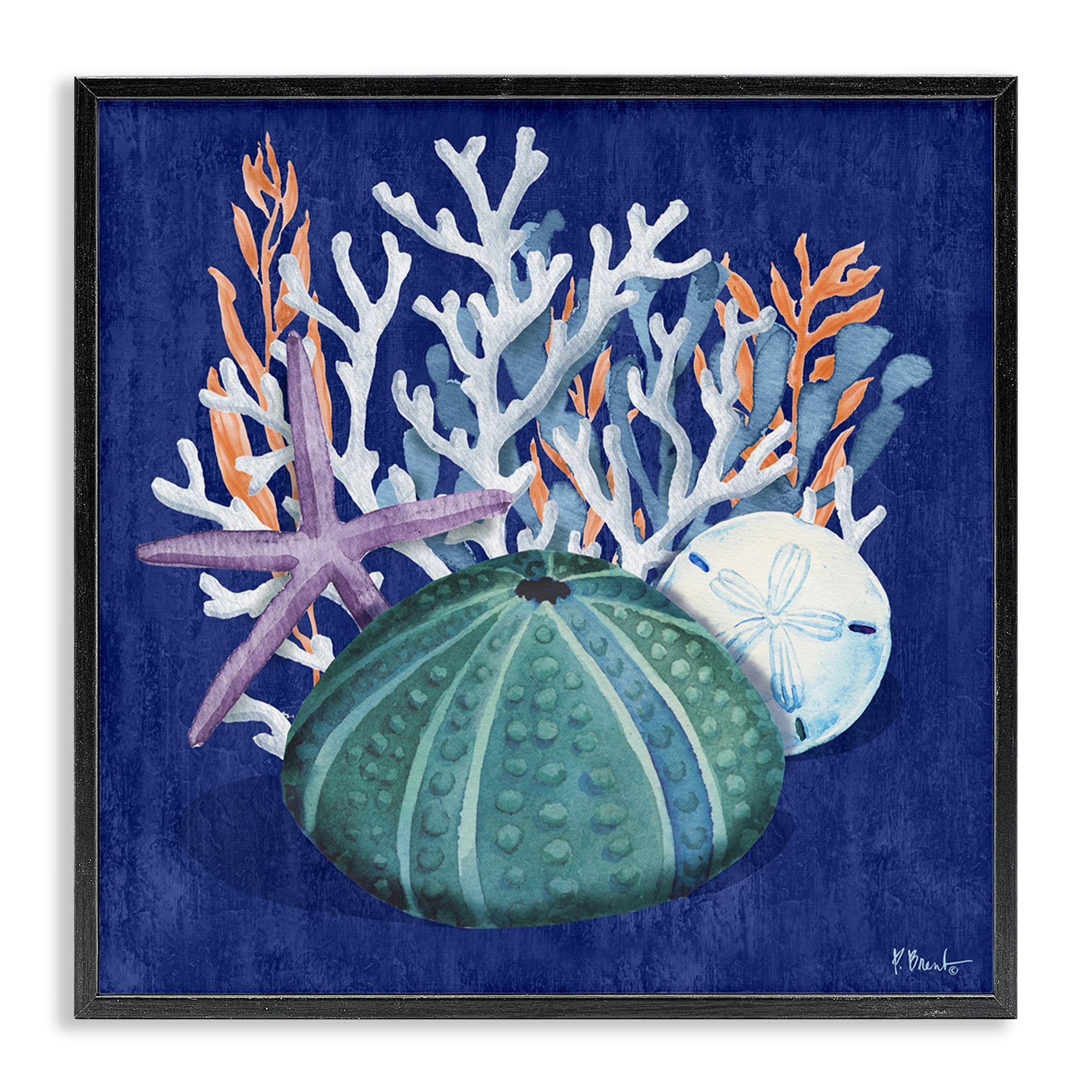 Stupell Industries Monterey Urchin & Coral Coastal Painting Black ...