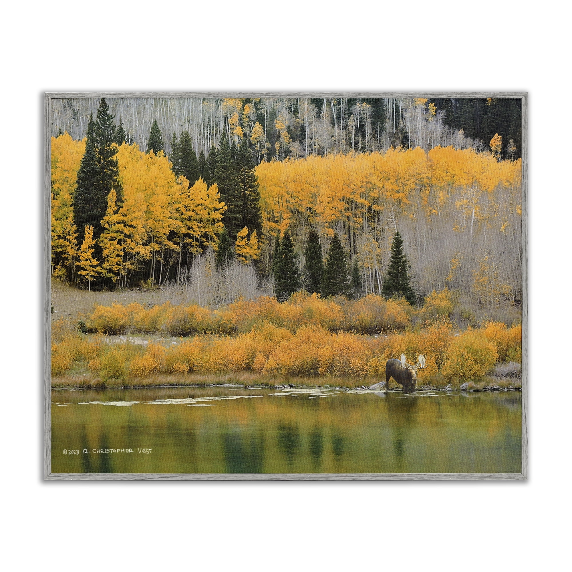 Stupell Industries Moose at Priest Lake Landscape & Nature Photography ...