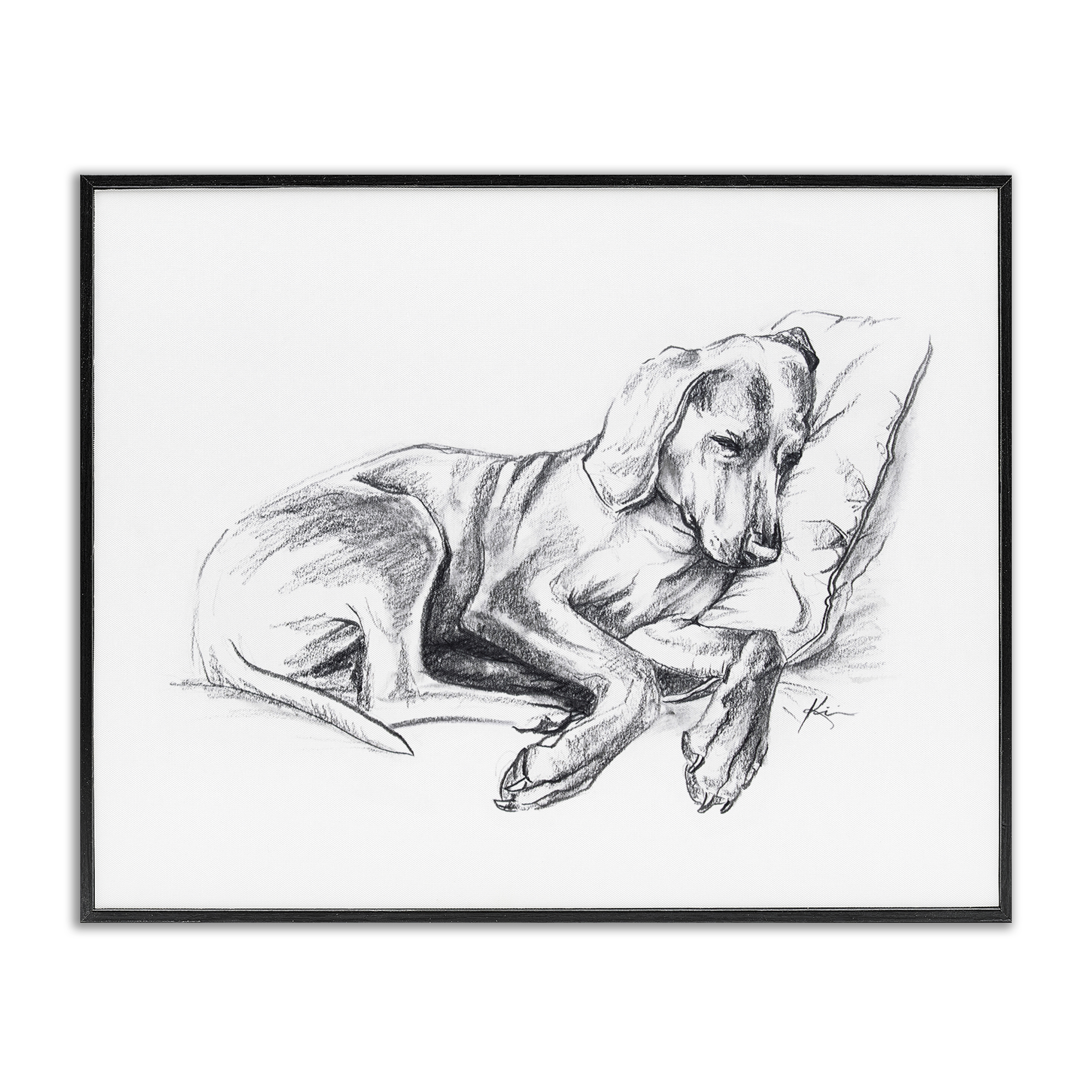 Stupell Industries Napping Dog Drawing Animals Drawing Black Framed Art ...