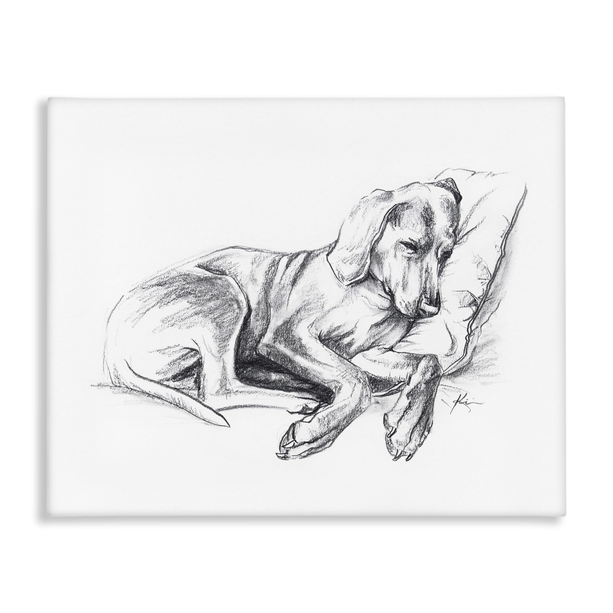 Stupell Industries Napping Dog Drawing Animals Drawing Wrapped Canvas ...