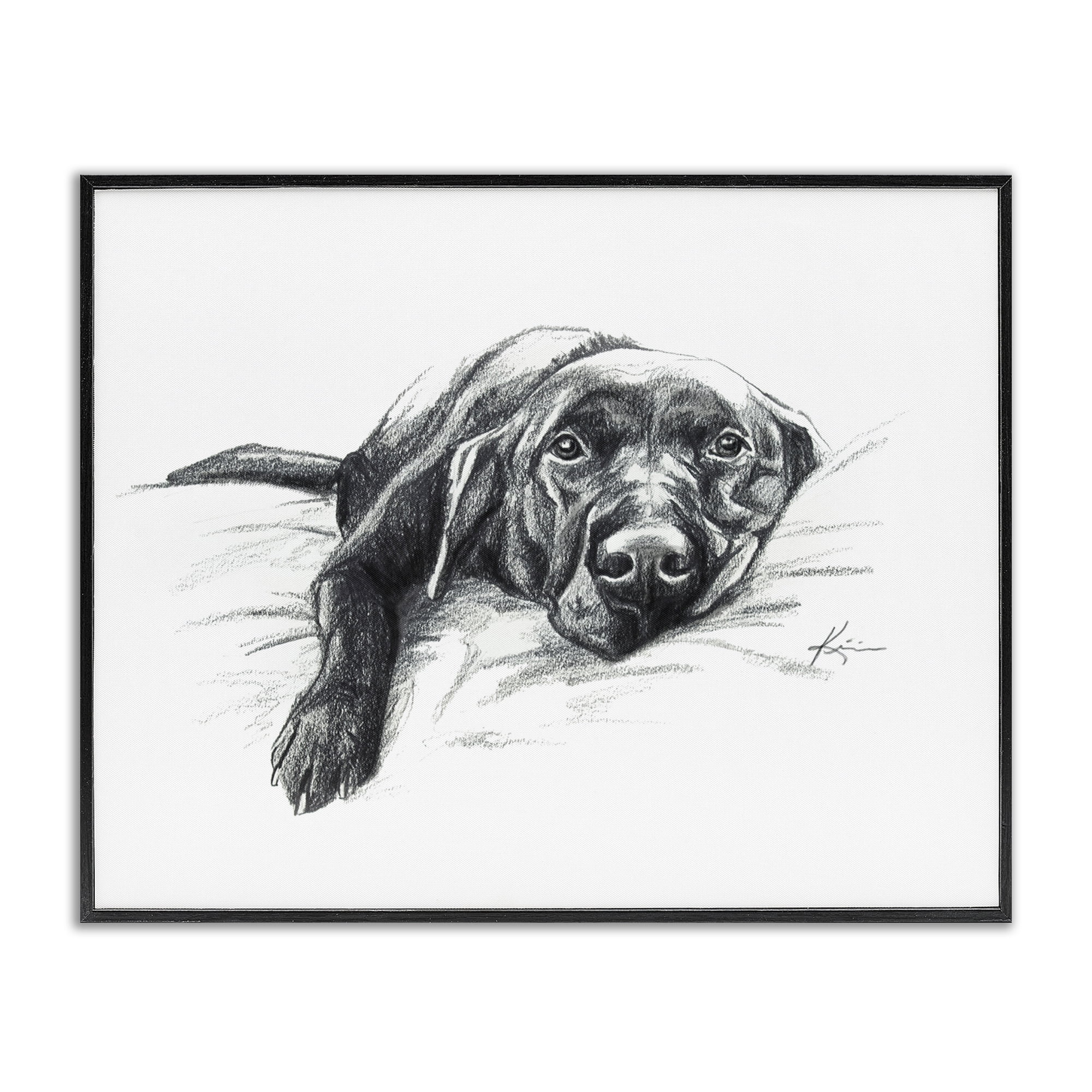 Stupell Industries Naptime Black Labrador Animals Drawing Black Framed ...