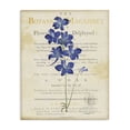 Stupell Industries Natural Botanic Garden Flower Canvas Wall Art ...