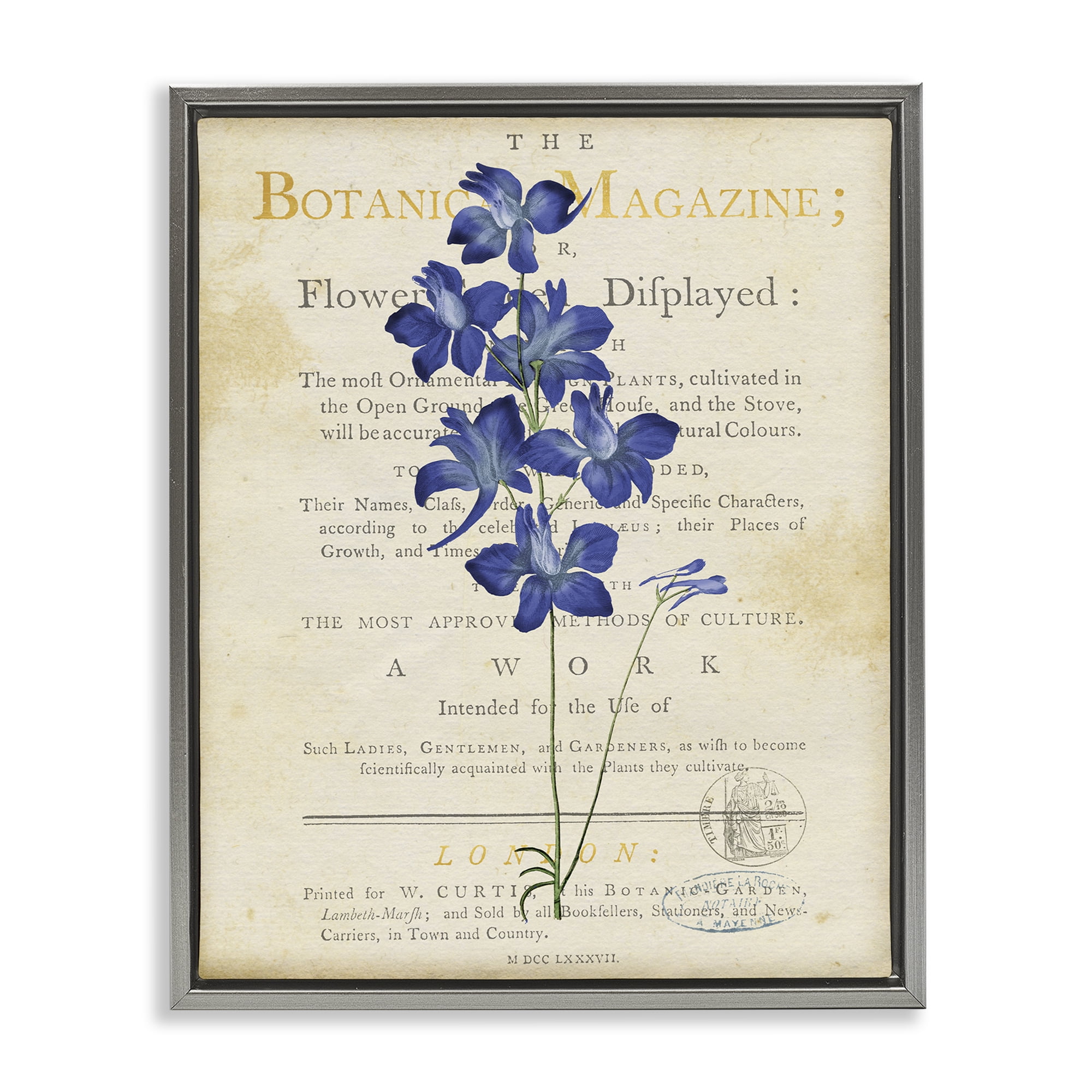 Stupell Industries Natural Botanic Garden Flower Gray Framed Floater ...