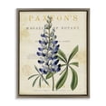 Stupell Industries Natural Botany Lupine Brown Framed Floater Canvas ...